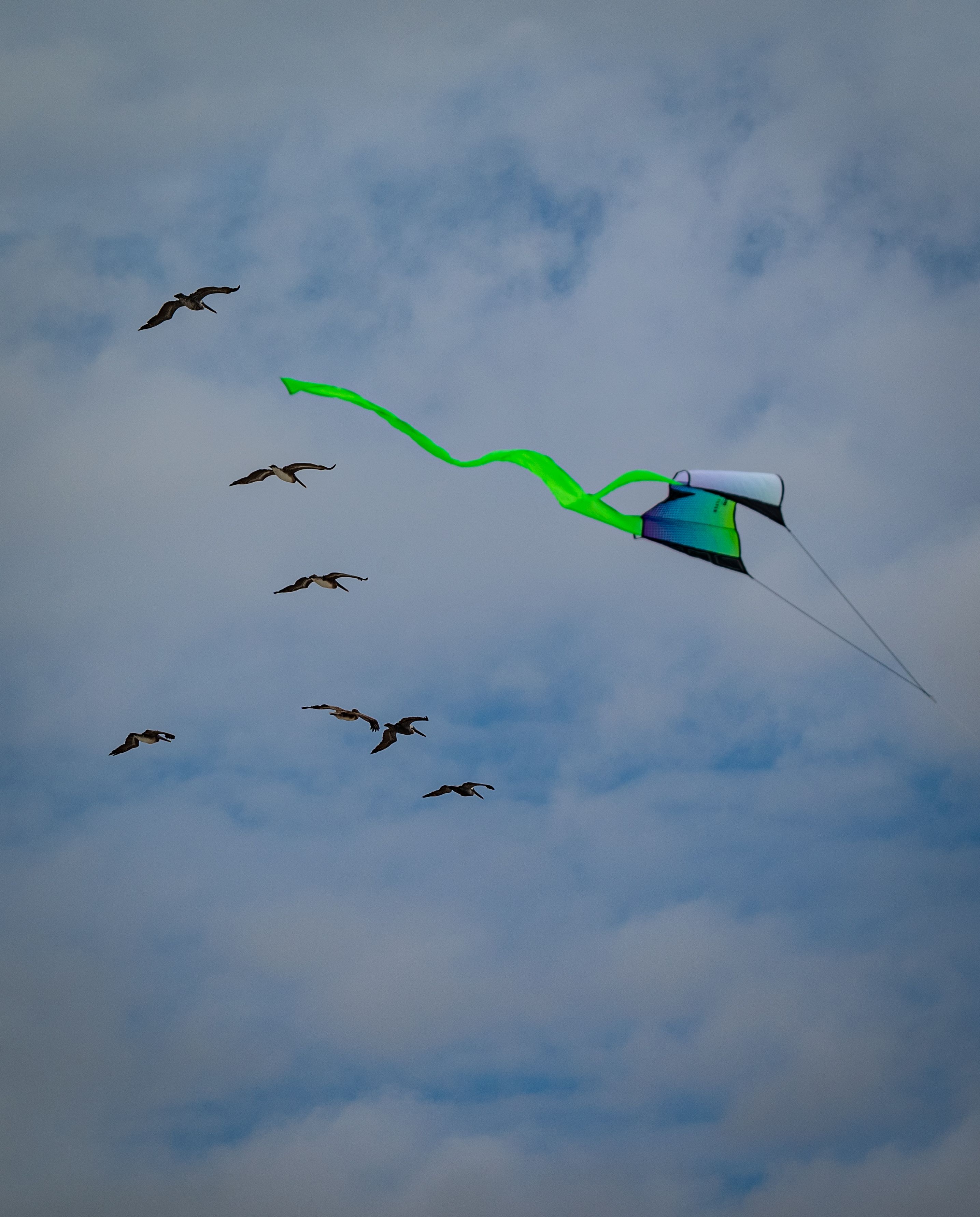Neon Parachute Photos, Download The BEST Free Neon Parachute Stock ...