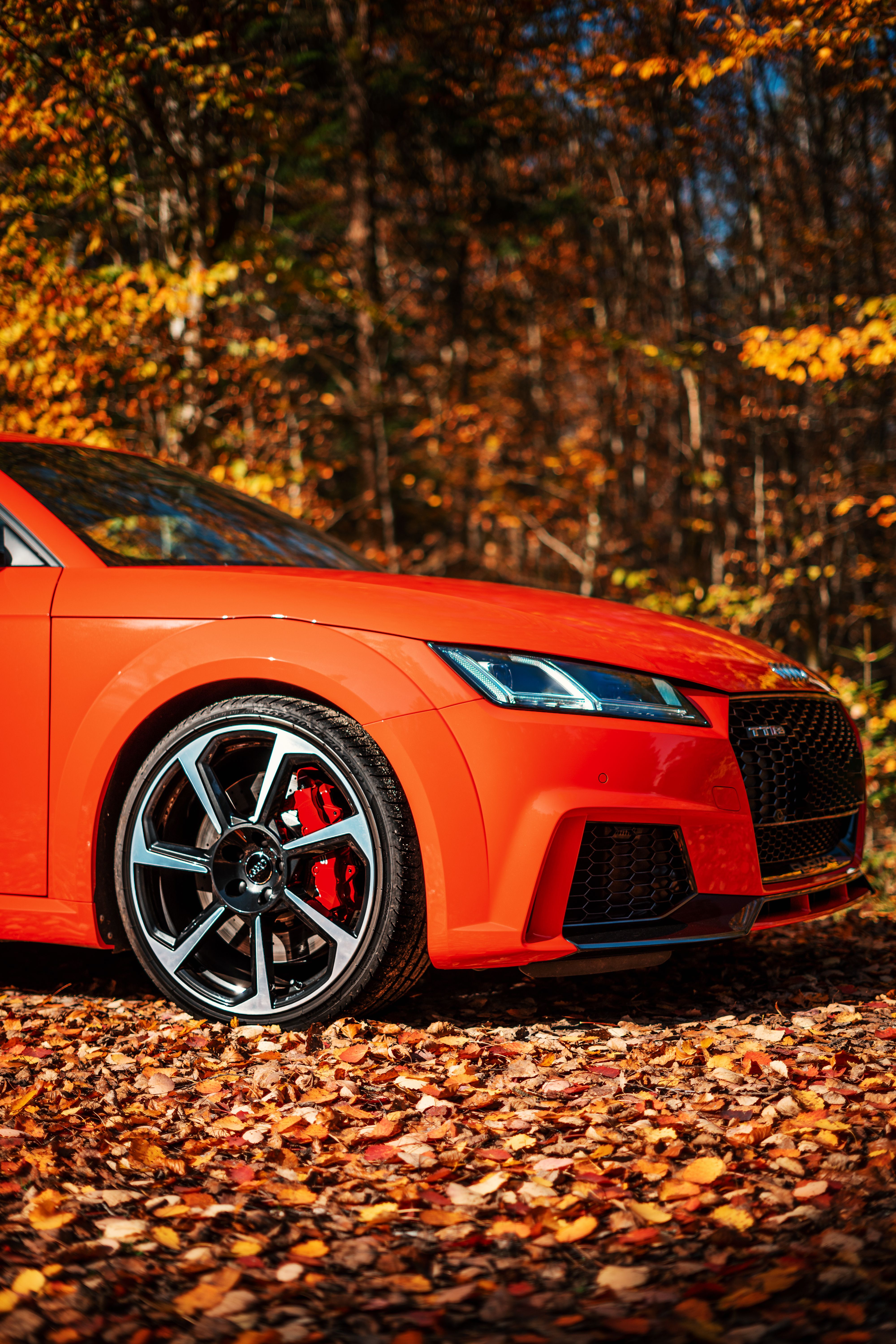 Audi Rs6 Mansory Color Orange Photos, Download The BEST Free Audi Rs6 ...
