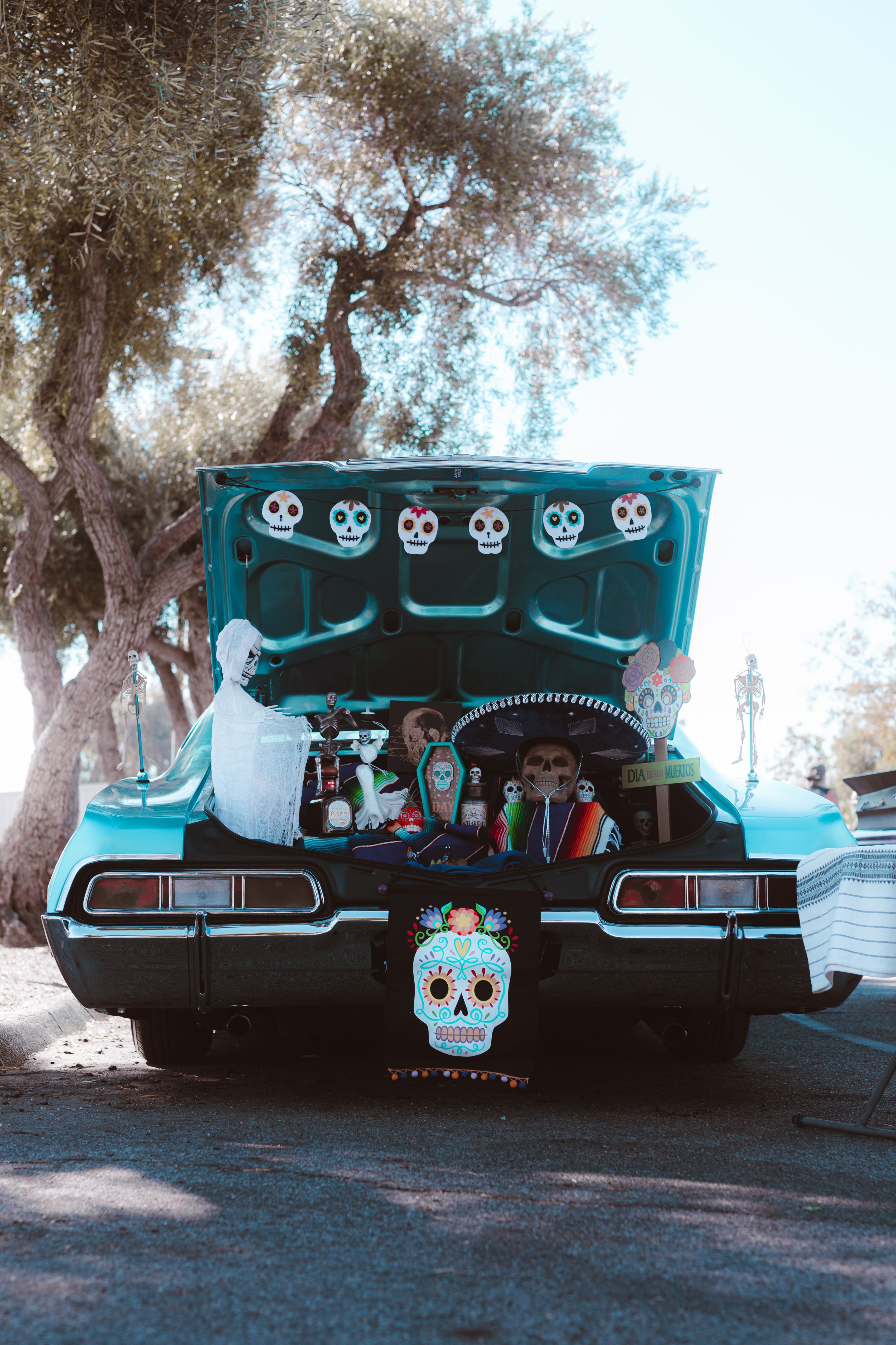 Spooky Decorations in Car · Free Stock Photo