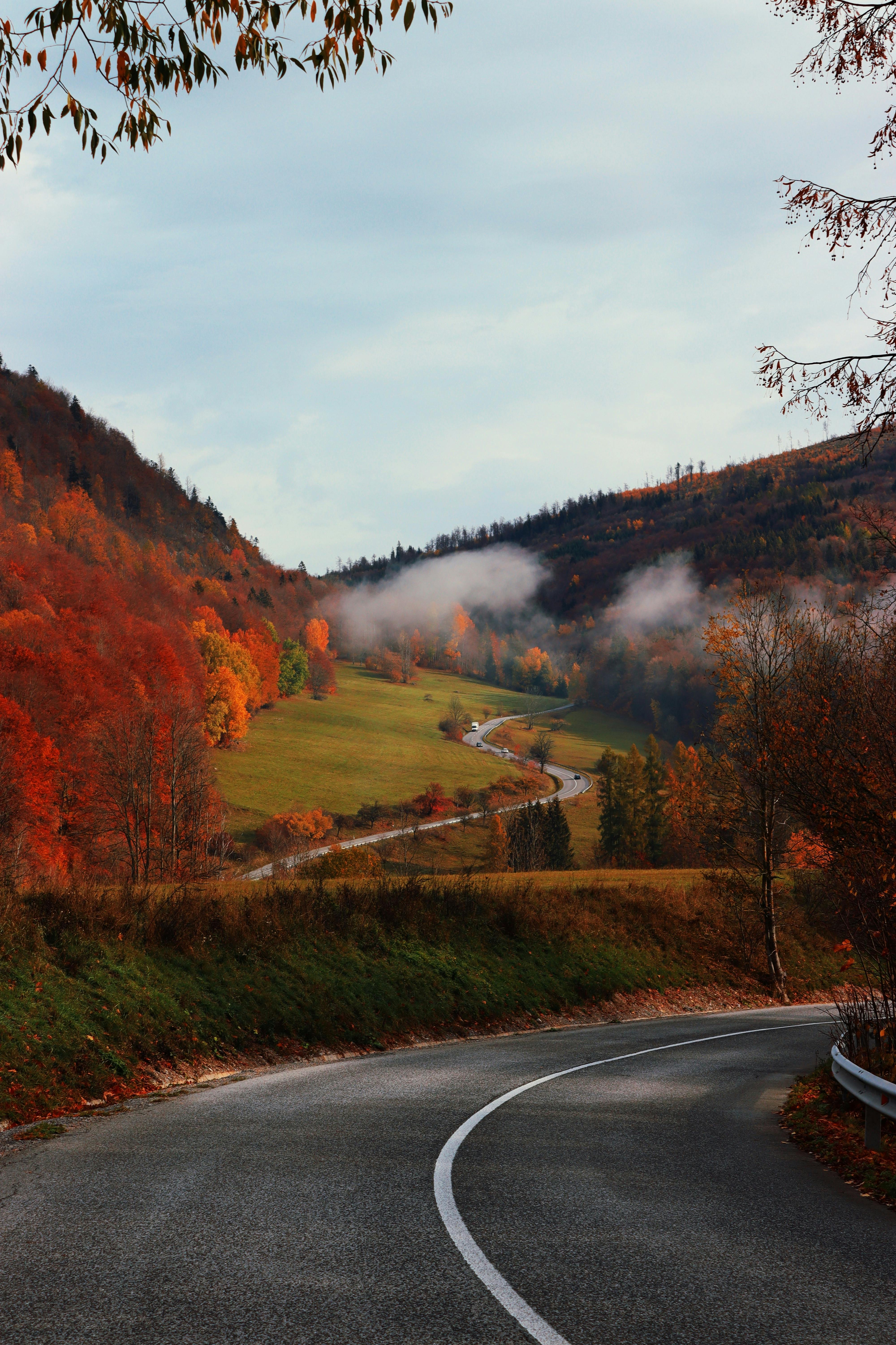 Photo of a Road in Autumn · Free Stock Photo