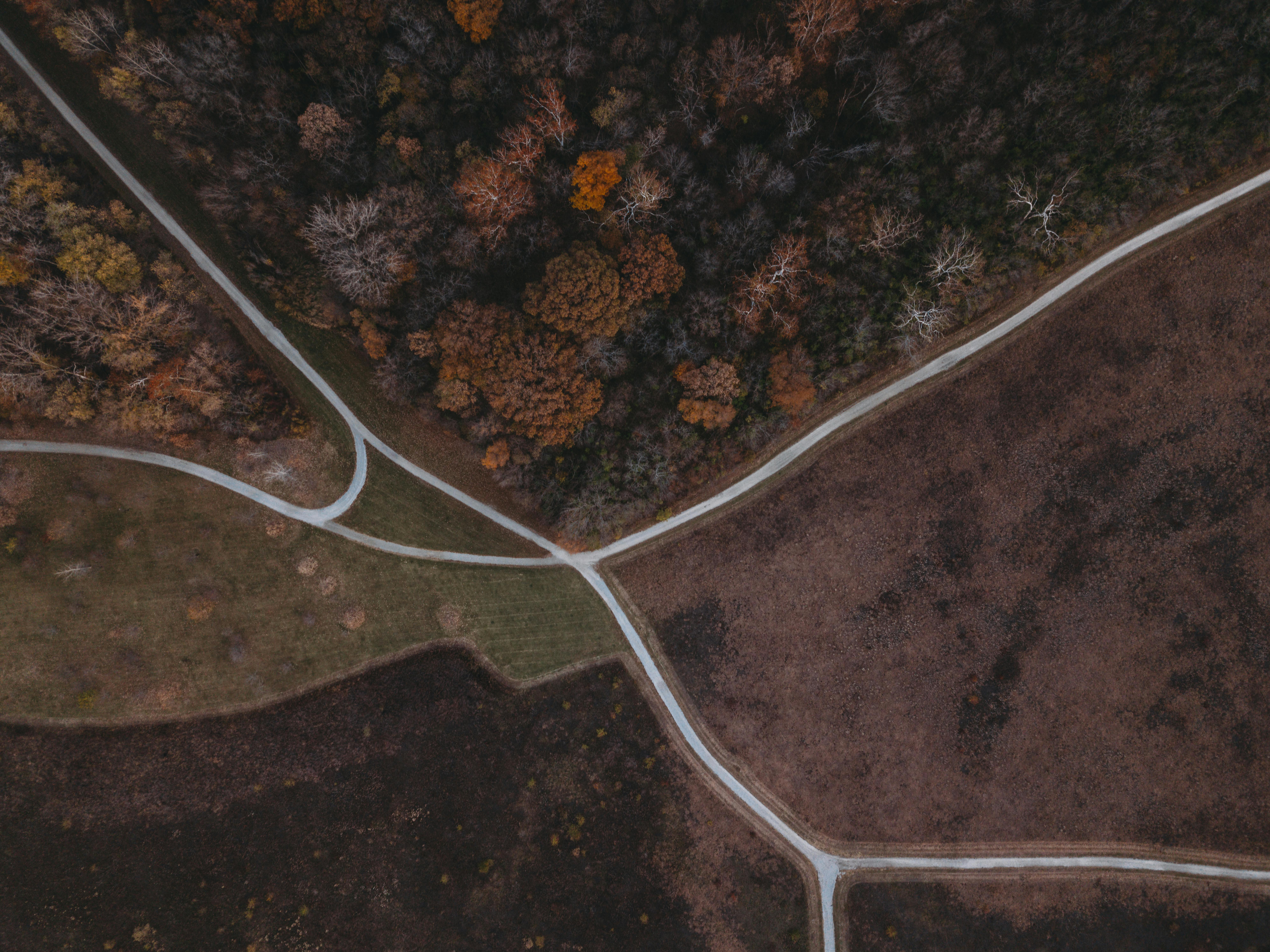 Pathlines Photos, Download The BEST Free Pathlines Stock Photos & HD Images