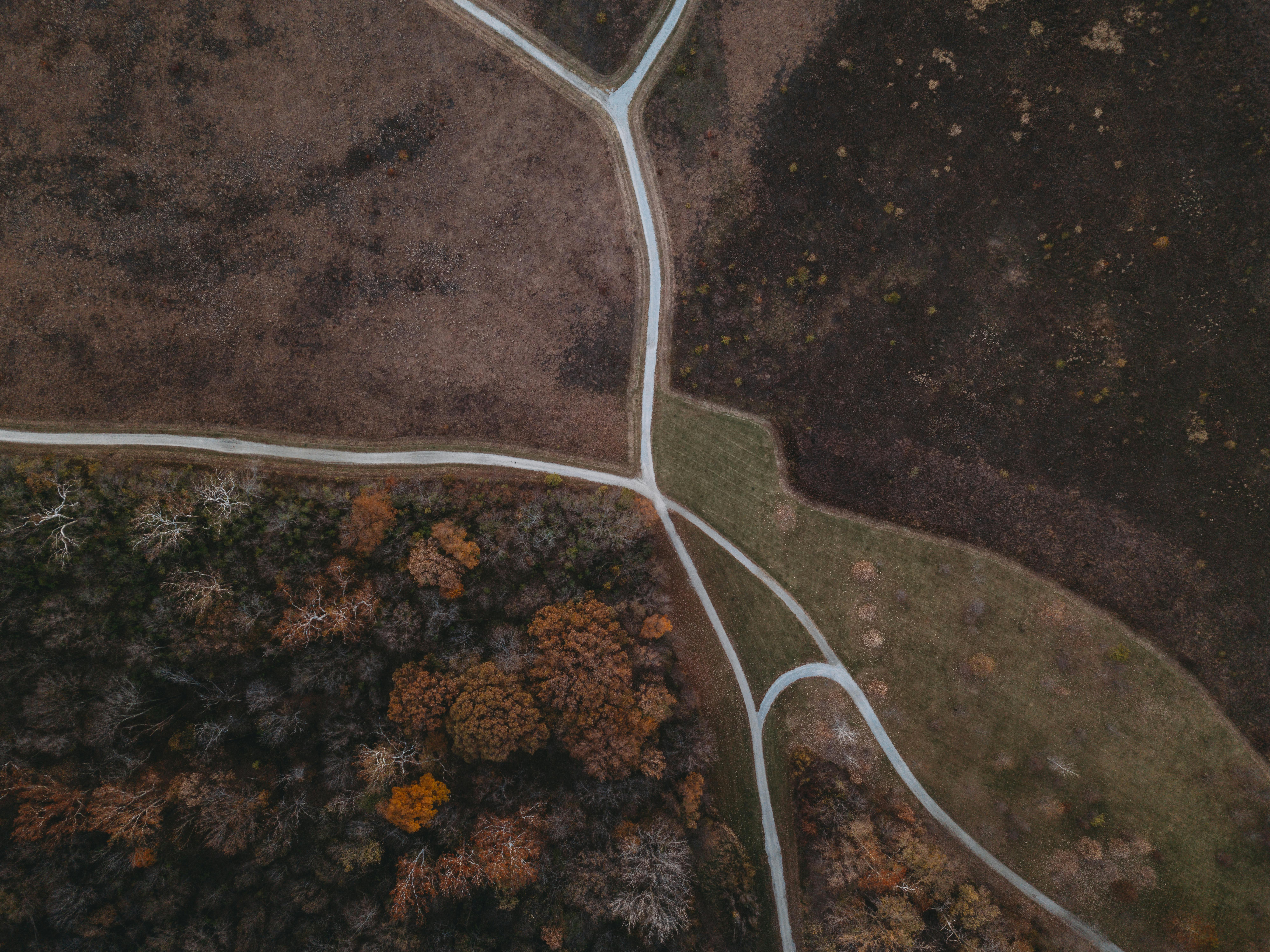 Bird's Eye View of the Grass Field · Free Stock Photo