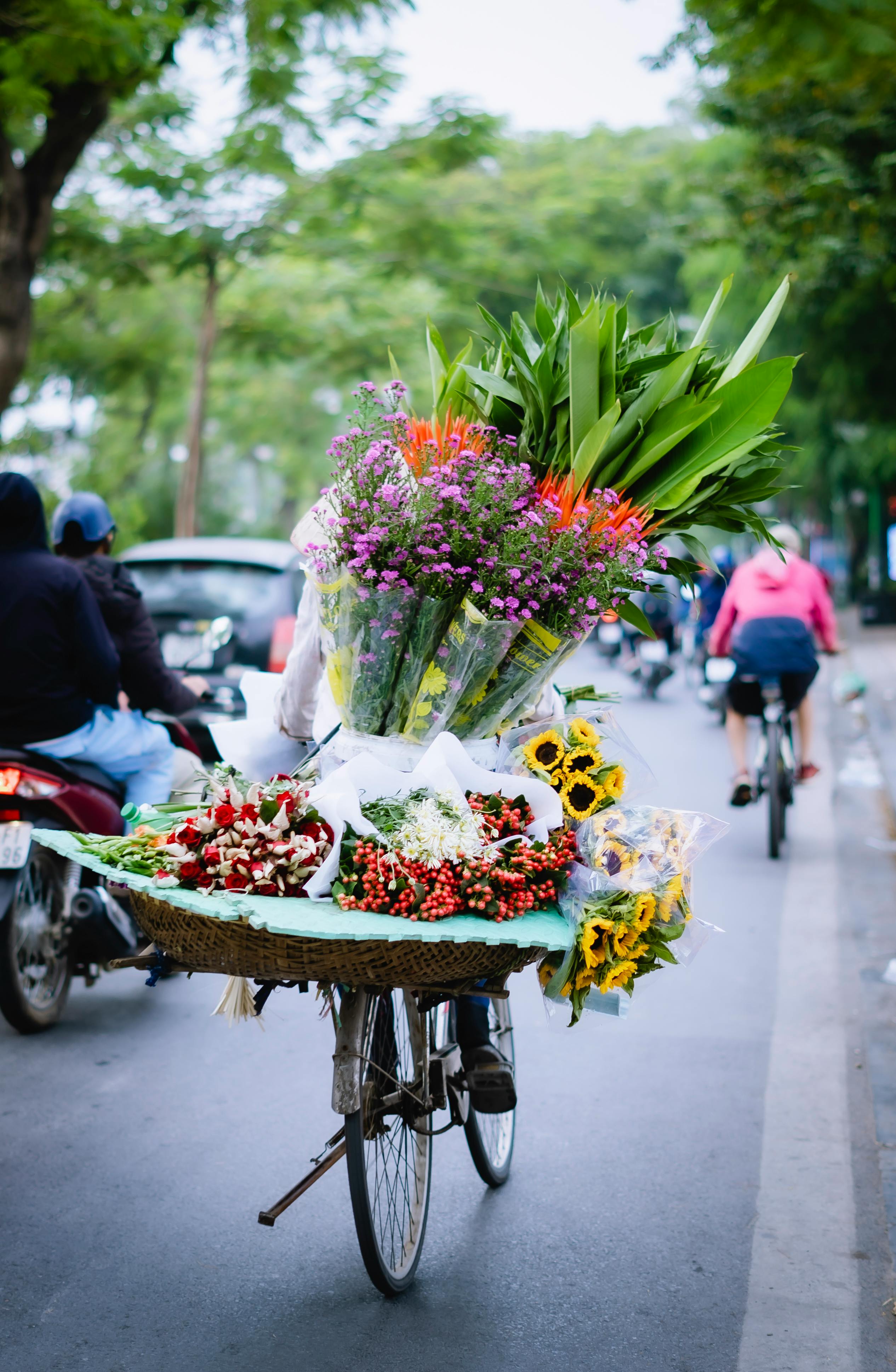 Vendor Riding a Bike with Flowers · Free Stock Photo