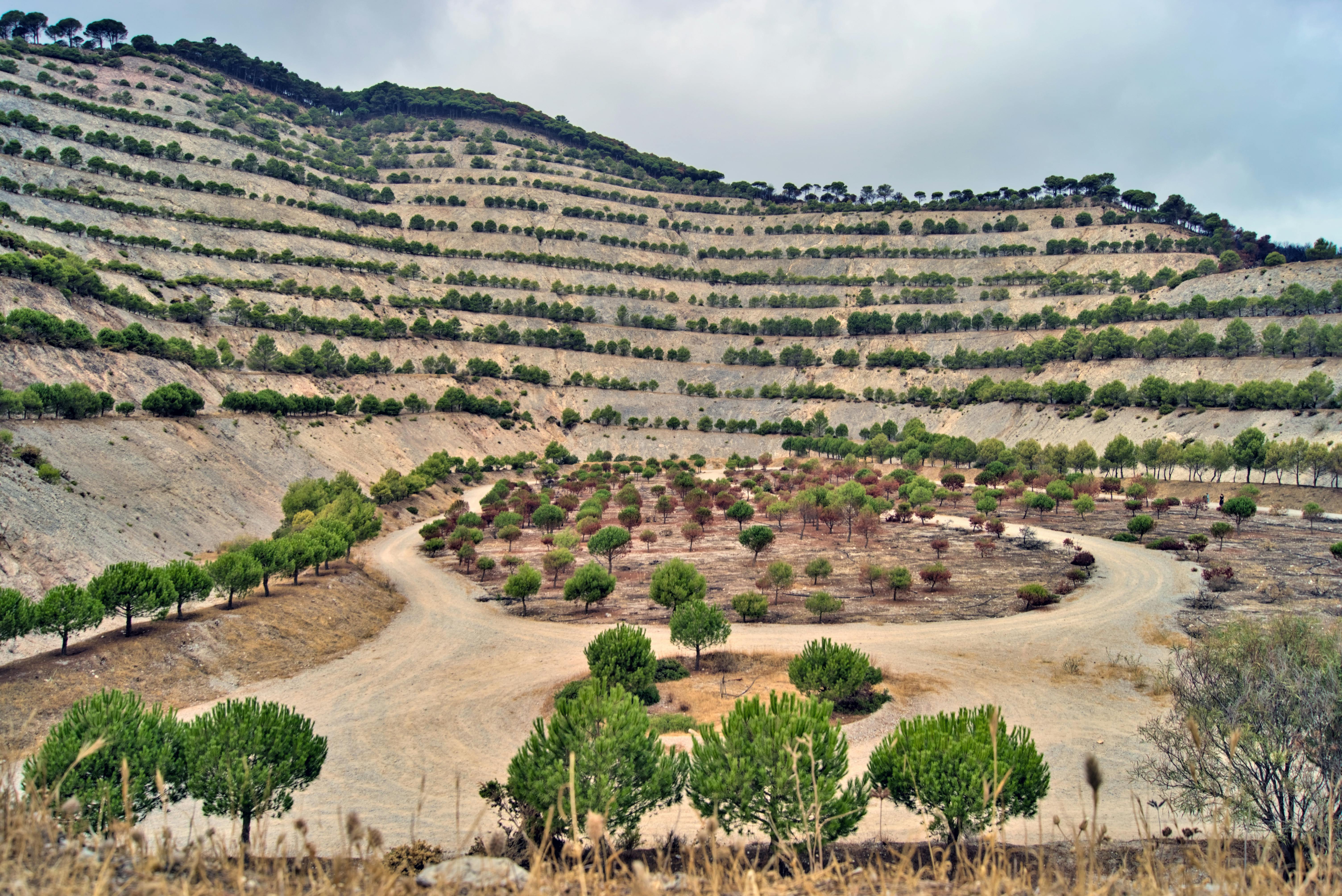 Terraced Landscape Photos, Download The BEST Free Terraced Landscape ...