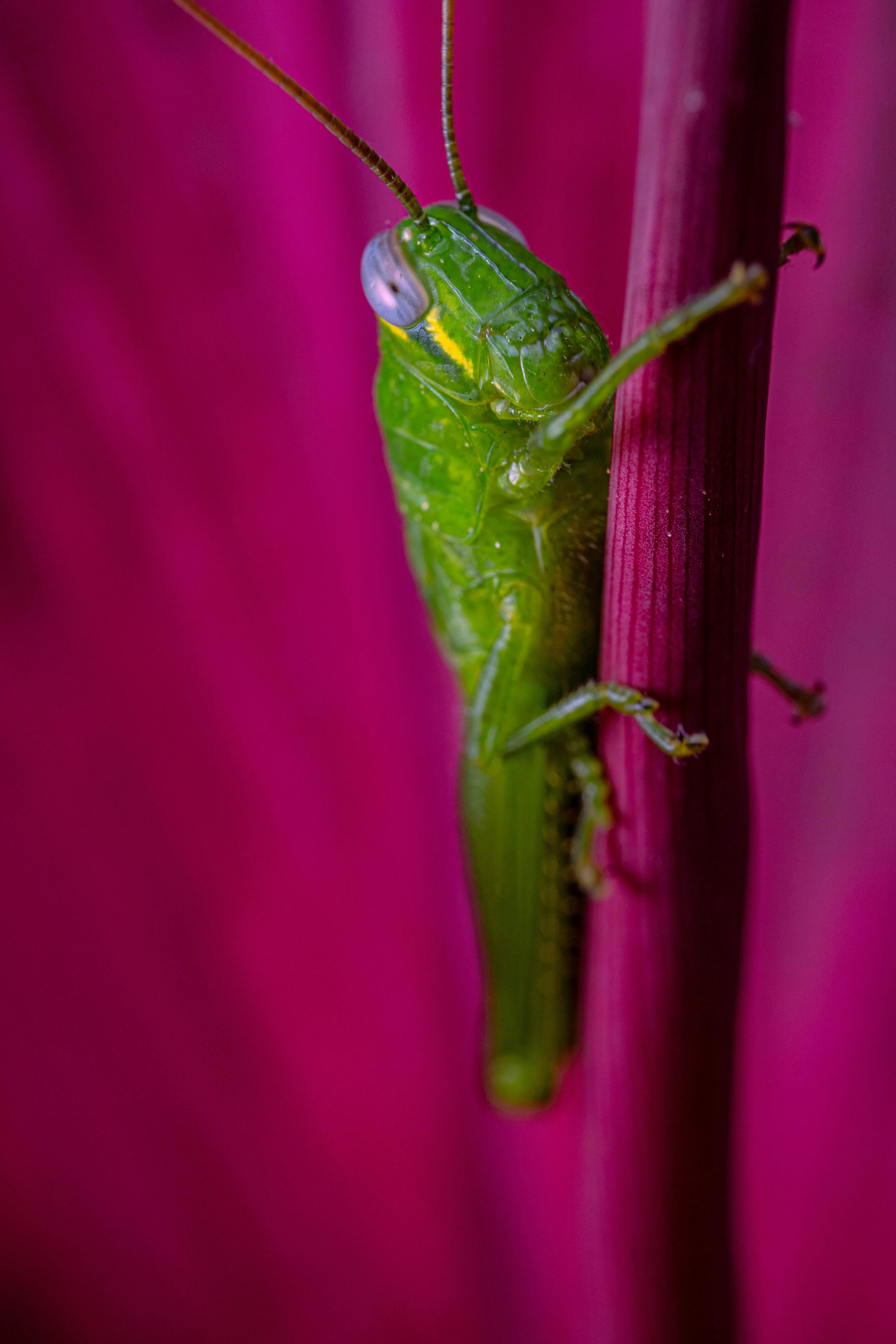 11 photos et vidéos enregistrées par Oktavianus Mulyadi dans la ...