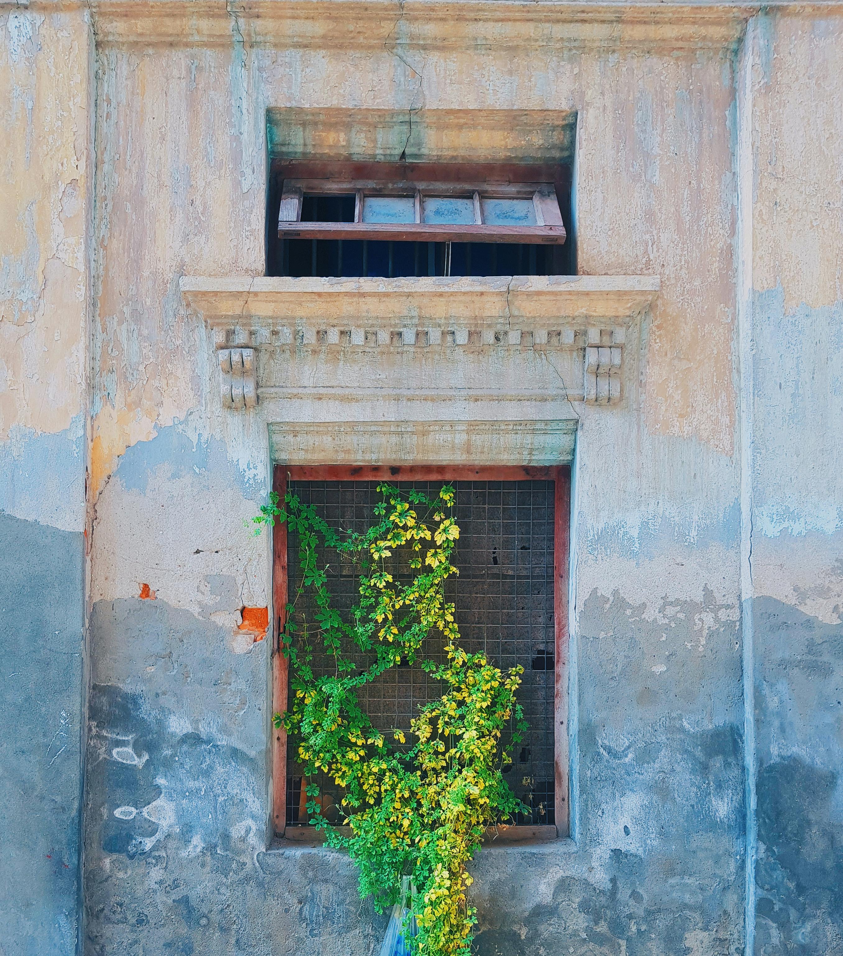 Phyo Hein Kyaw - Photography