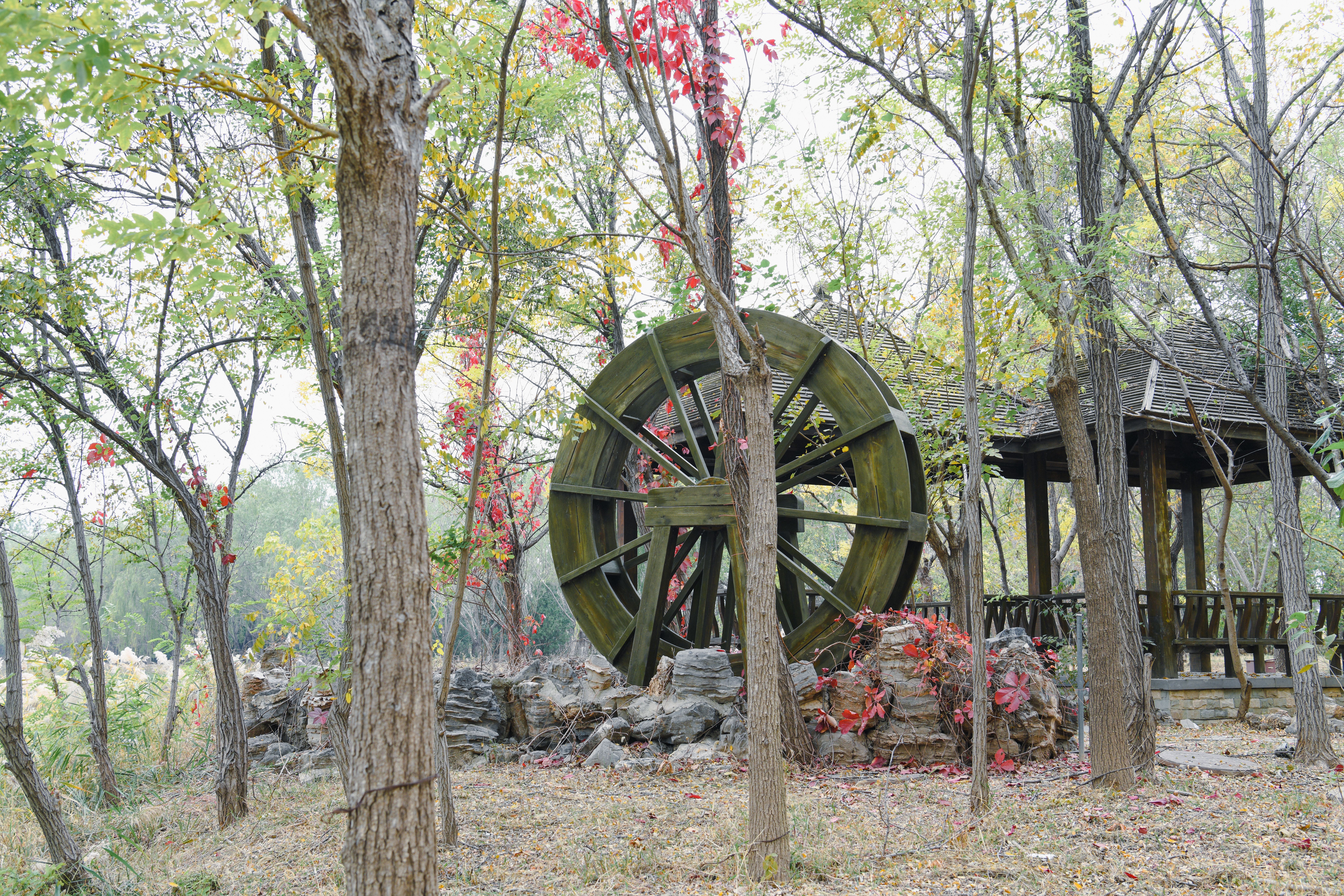 Shed and a Watermill in a Park · Free Stock Photo