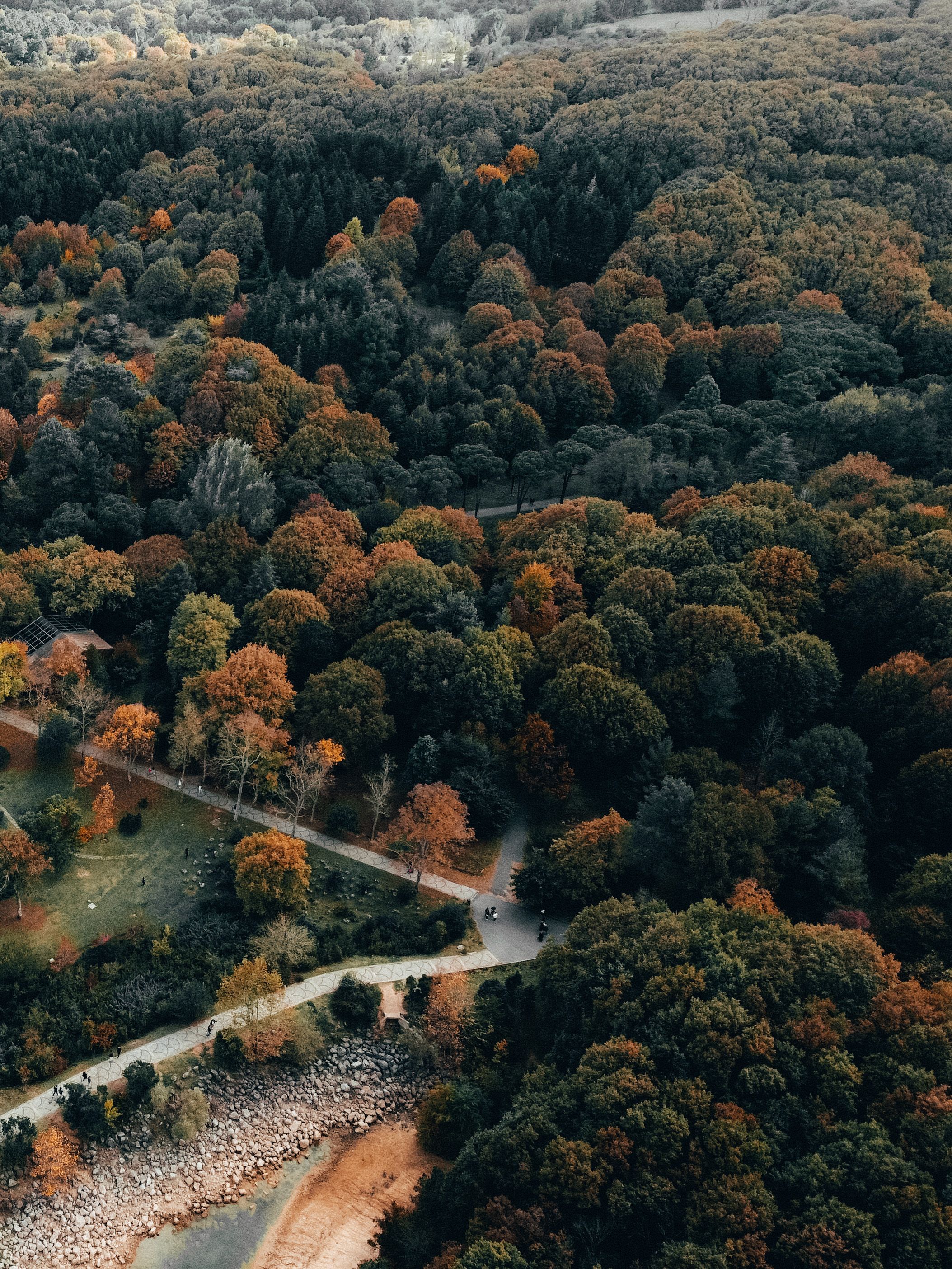 Aerial View of a Road · Free Stock Photo
