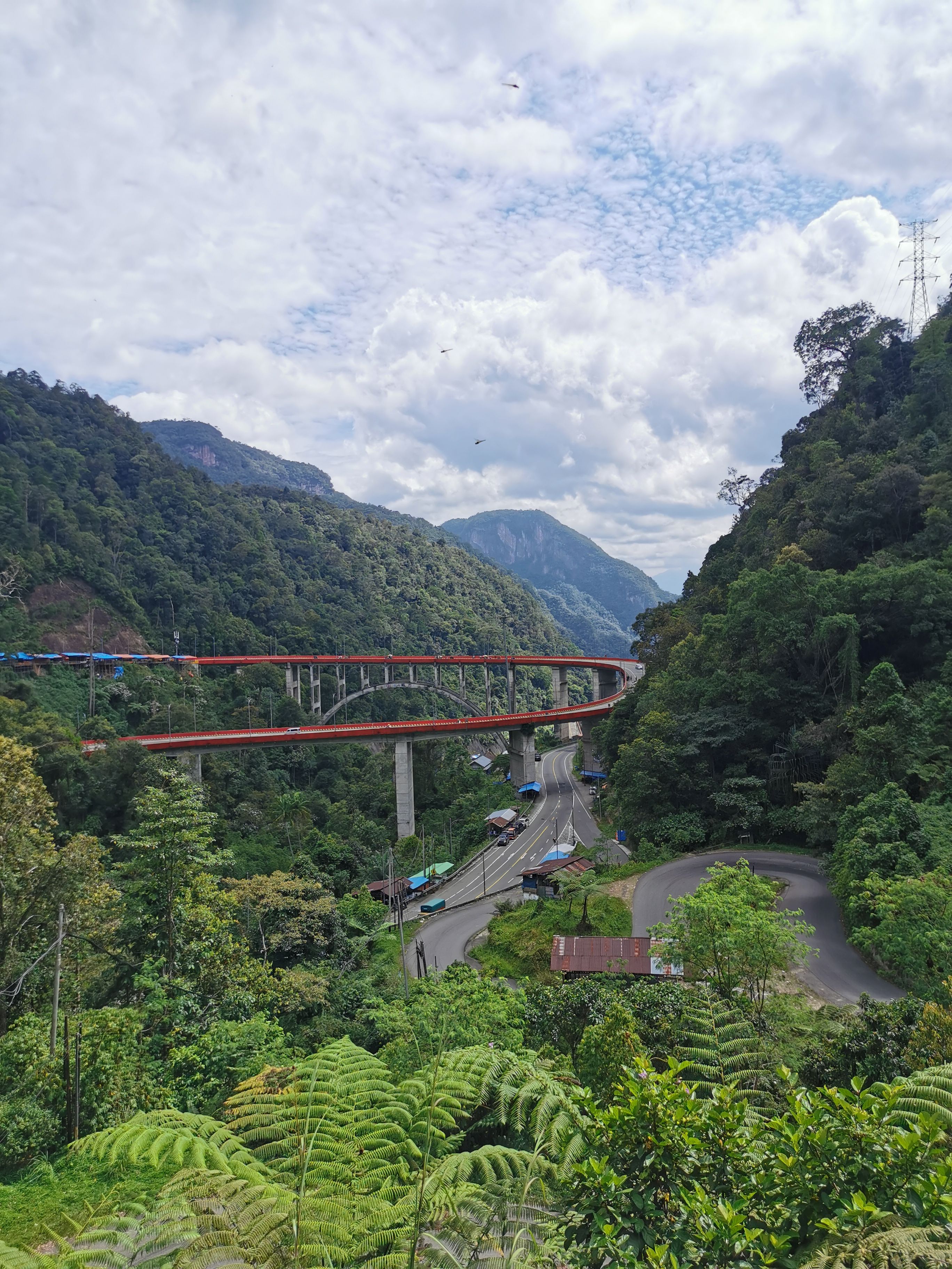 Bridge over Road in Forest · Free Stock Photo