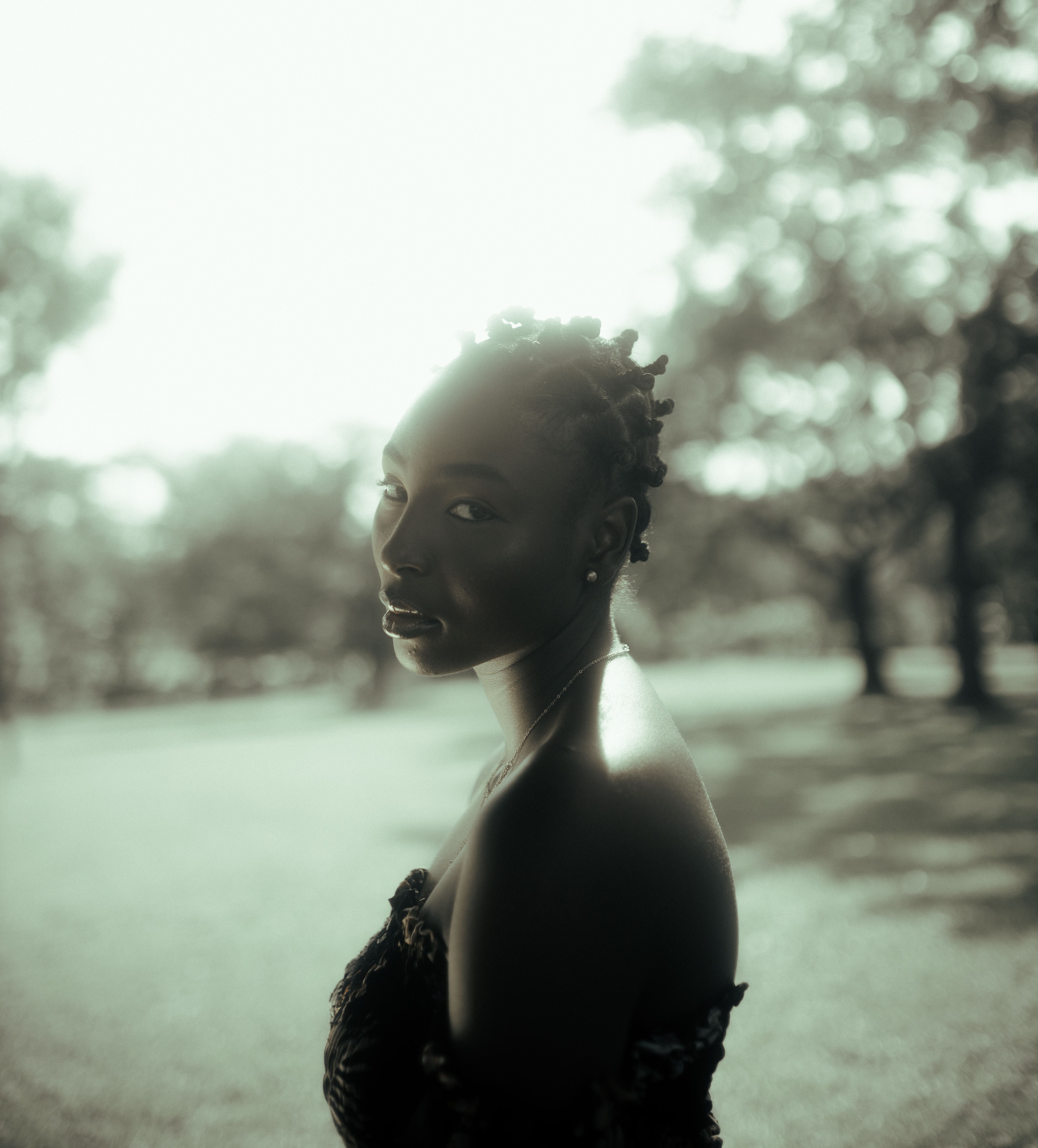 African Grasses Photos, Download The BEST Free African Grasses Stock ...