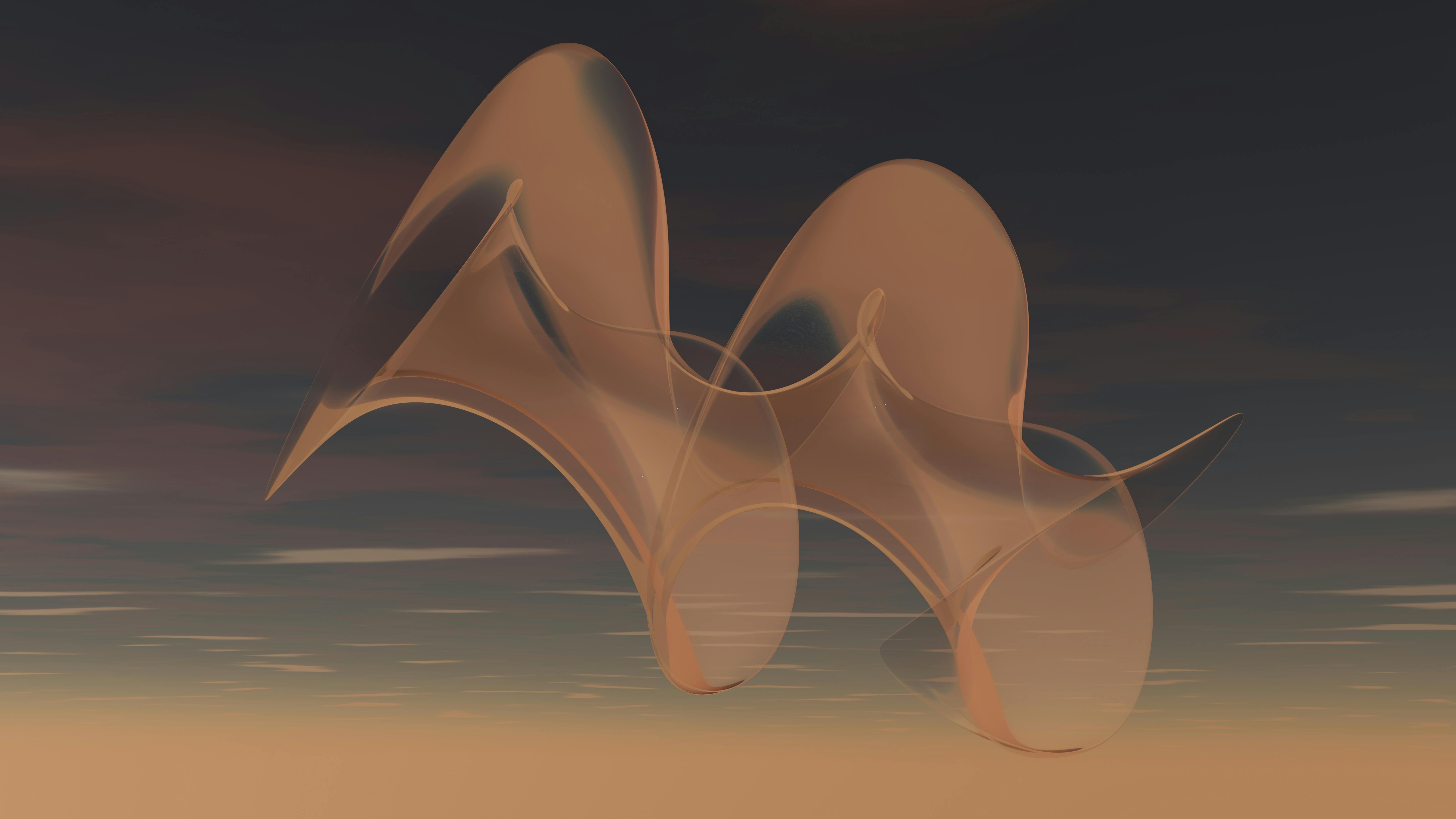 Steve Johnson - 摄影