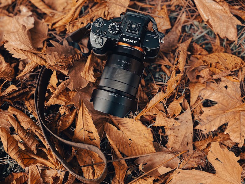 Sony Life Insurance: Solutions and Benefits Explained