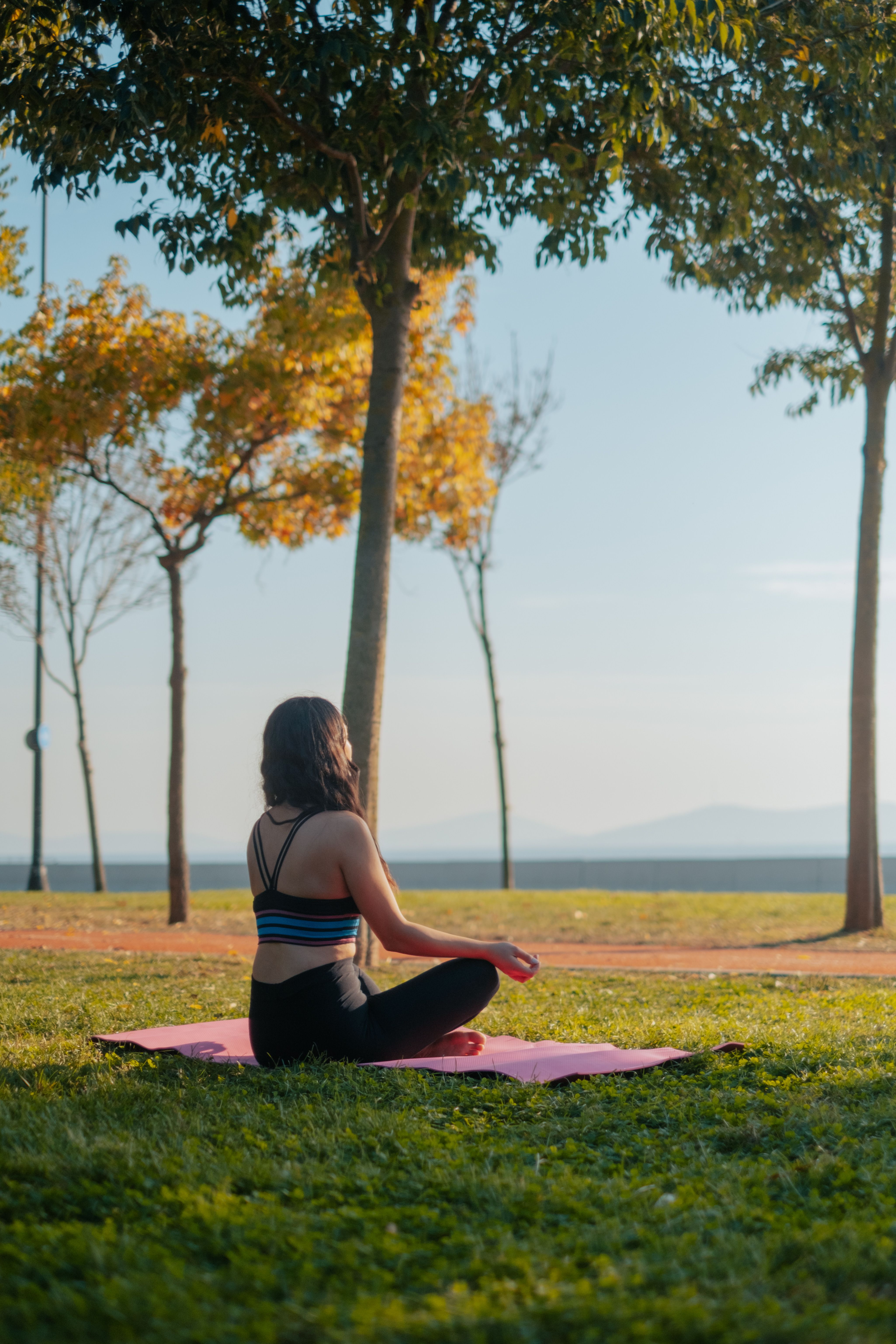 A Woman Sitting on Yoga Mat Near the Green Trees · Free Stock Photo