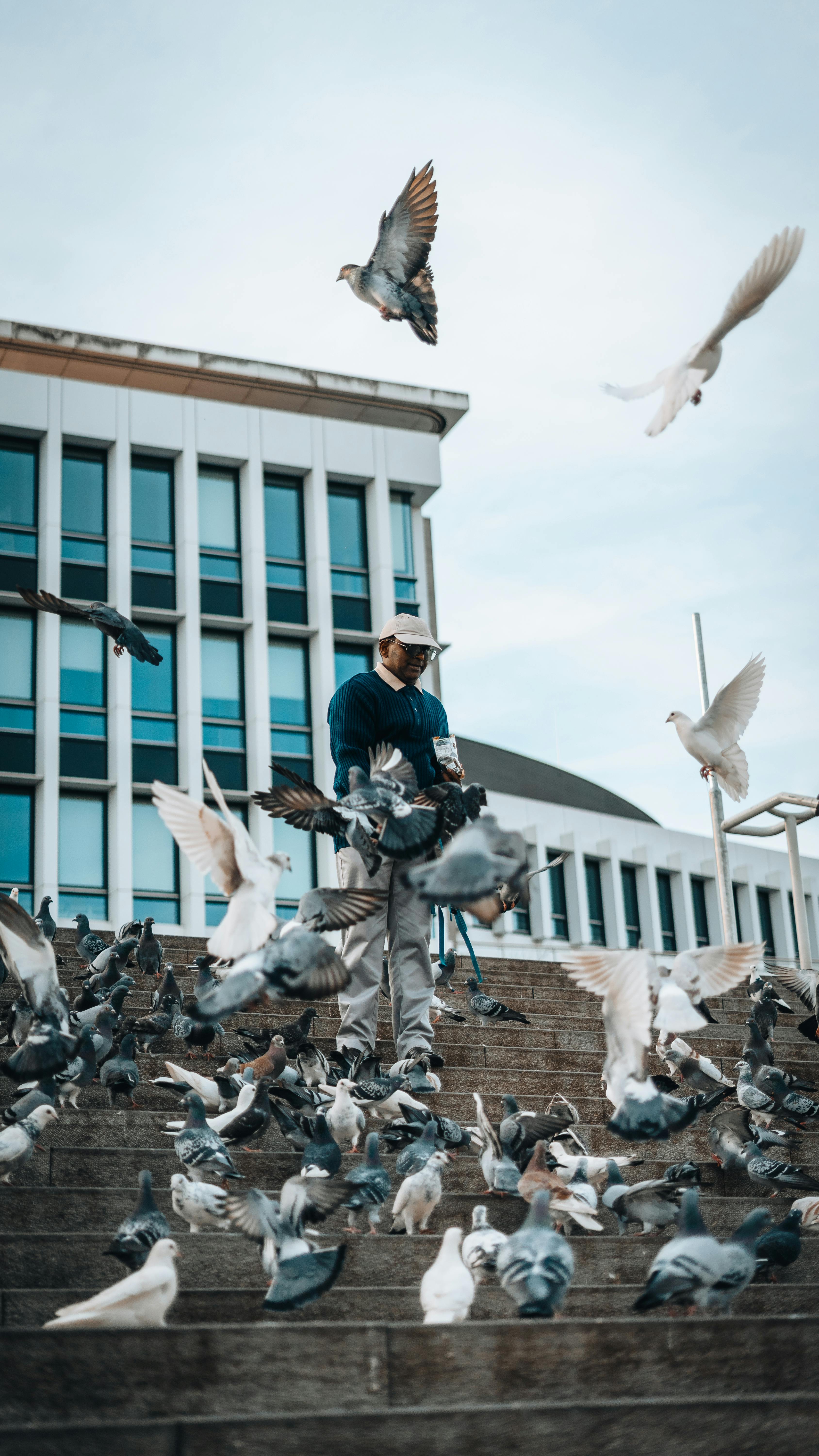 Flying Stairs Photos, Download The BEST Free Flying Stairs Stock Photos ...