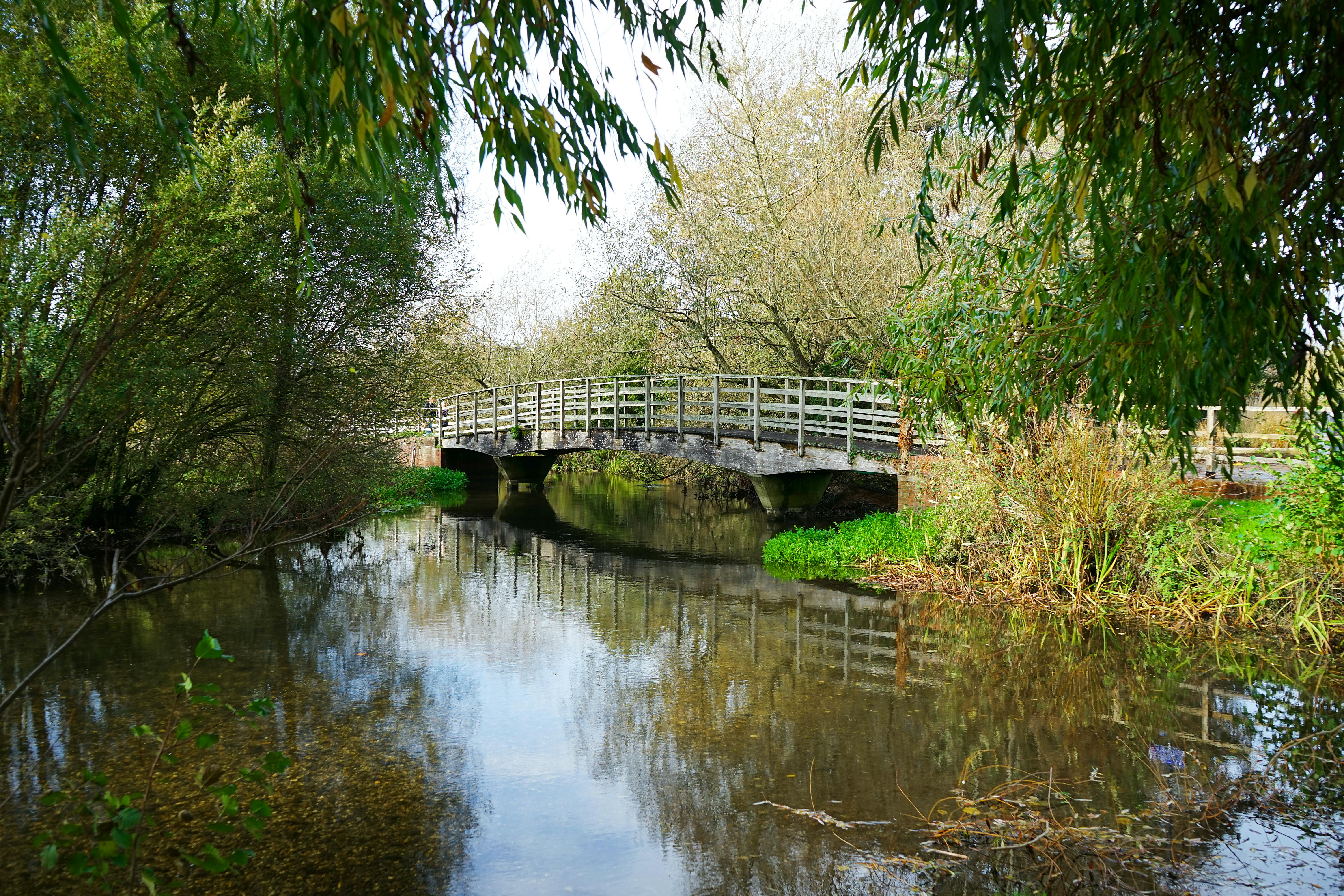 Wooden Foot Bridge Over the Water · Free Stock Photo