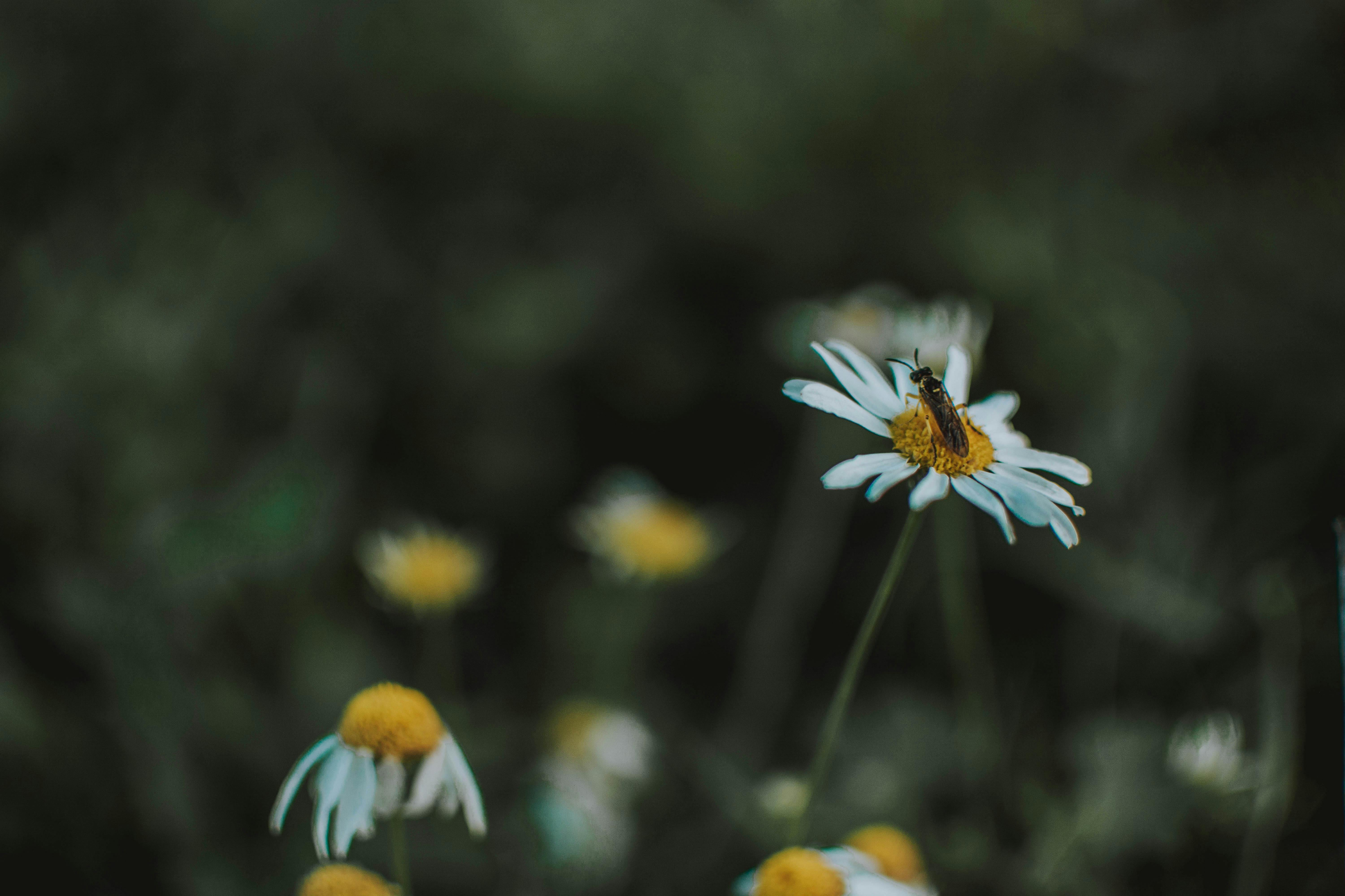 100+ Solde banque d’images et photos libres de droit · Téléchargement ...