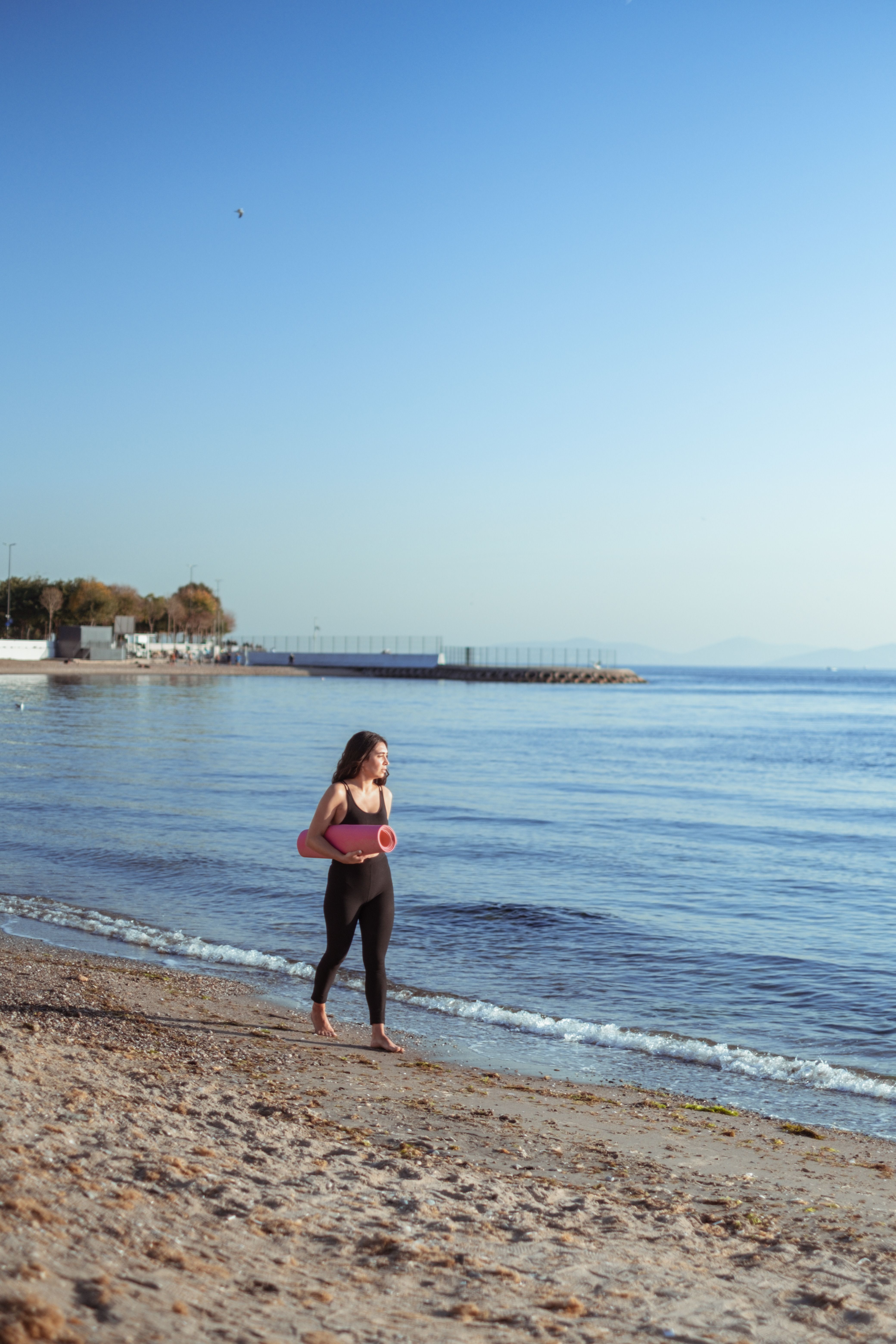 Woman at the Beach · Free Stock Photo