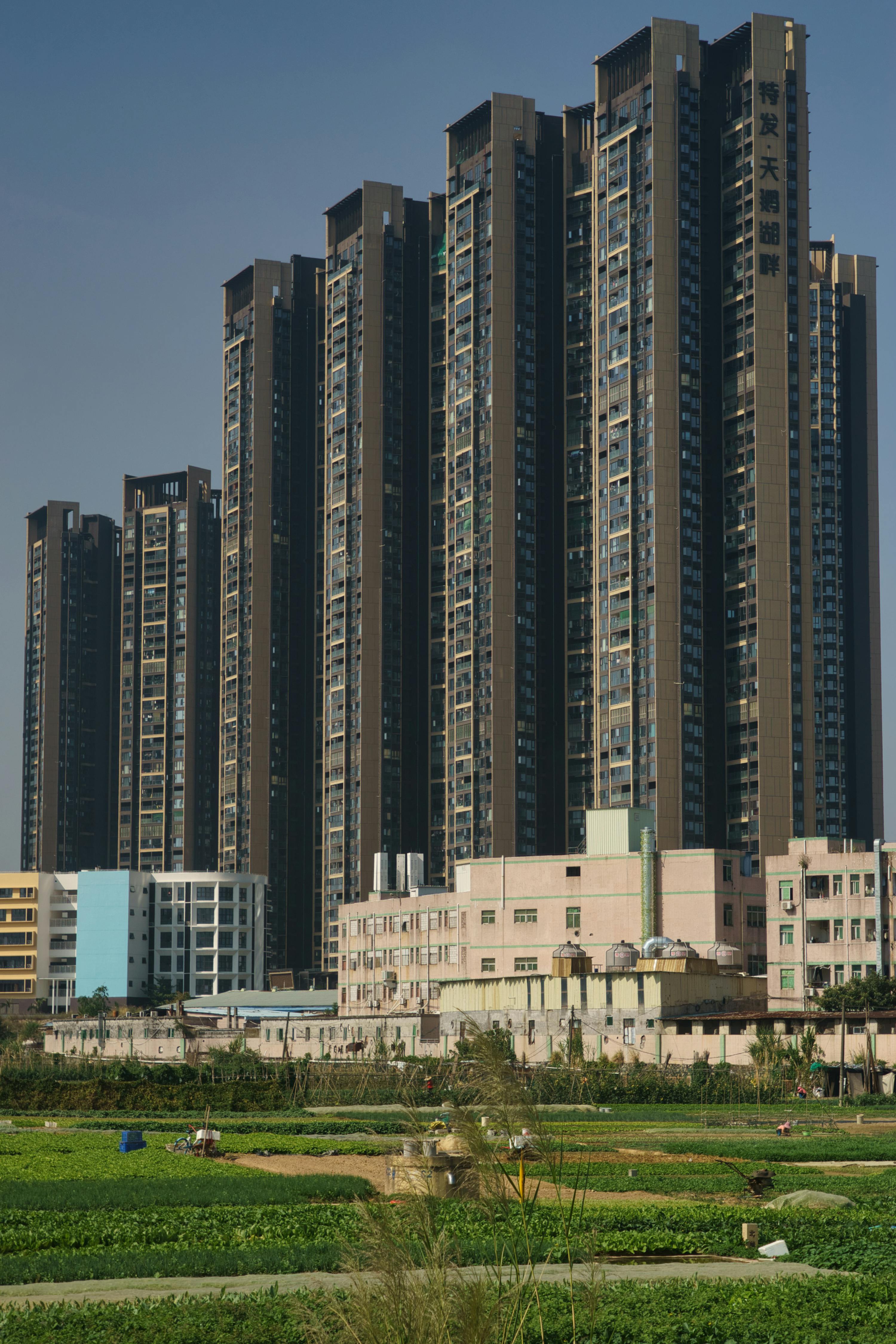 White and Black High Rise Building · Free Stock Photo