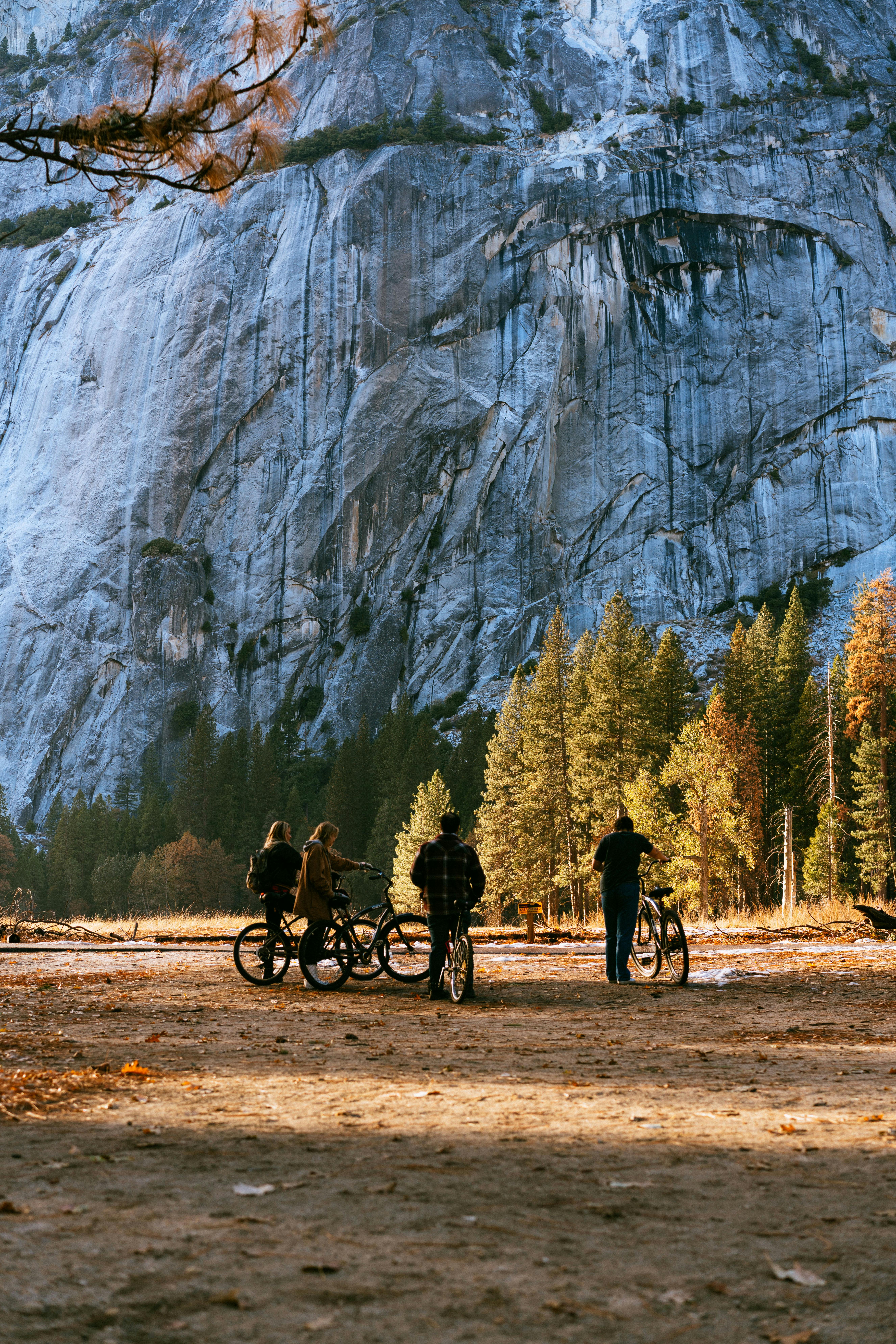 A Group of Friends Riding Bikes Together · Free Stock Photo