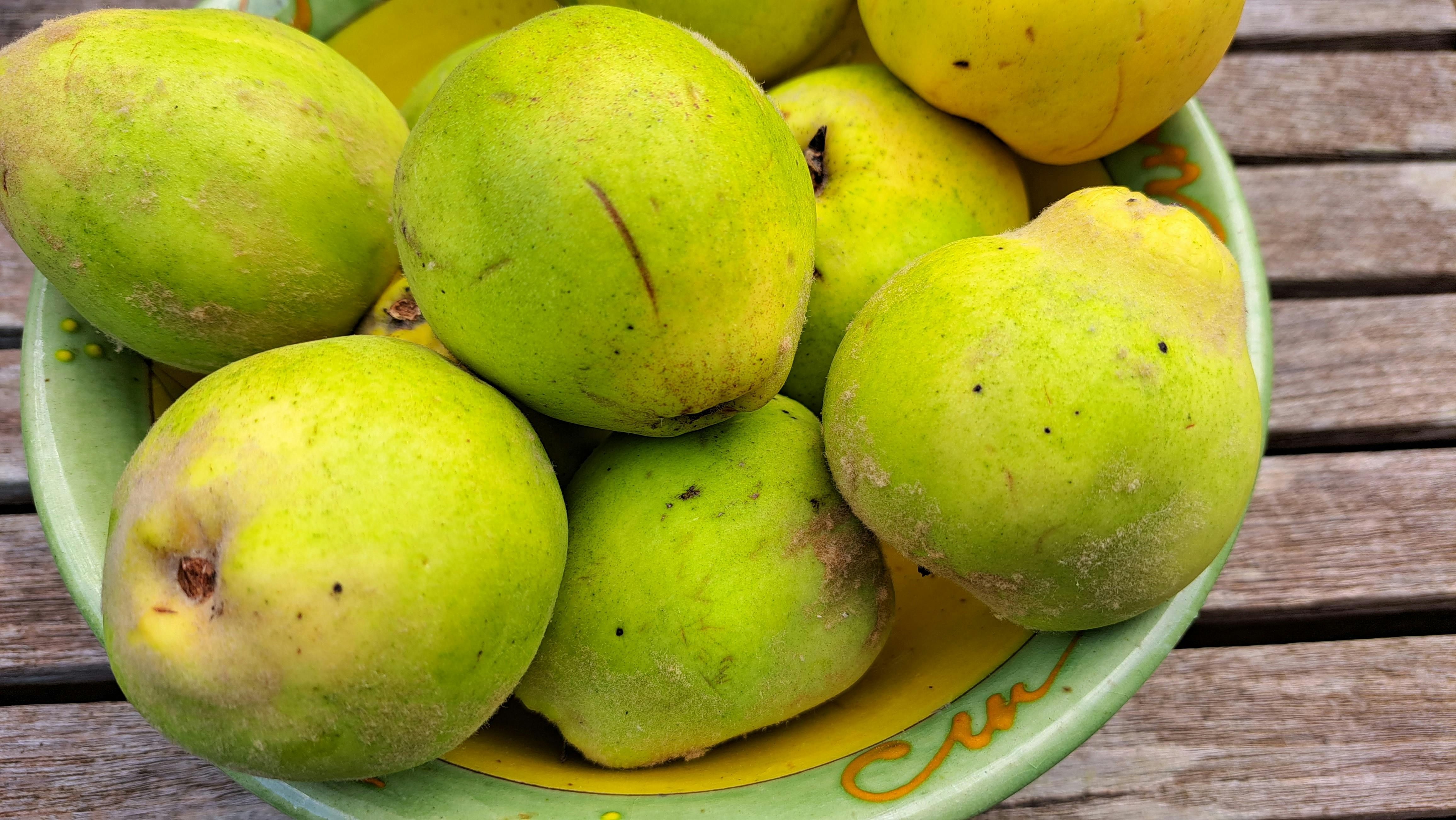 Peter Stewart - Photography