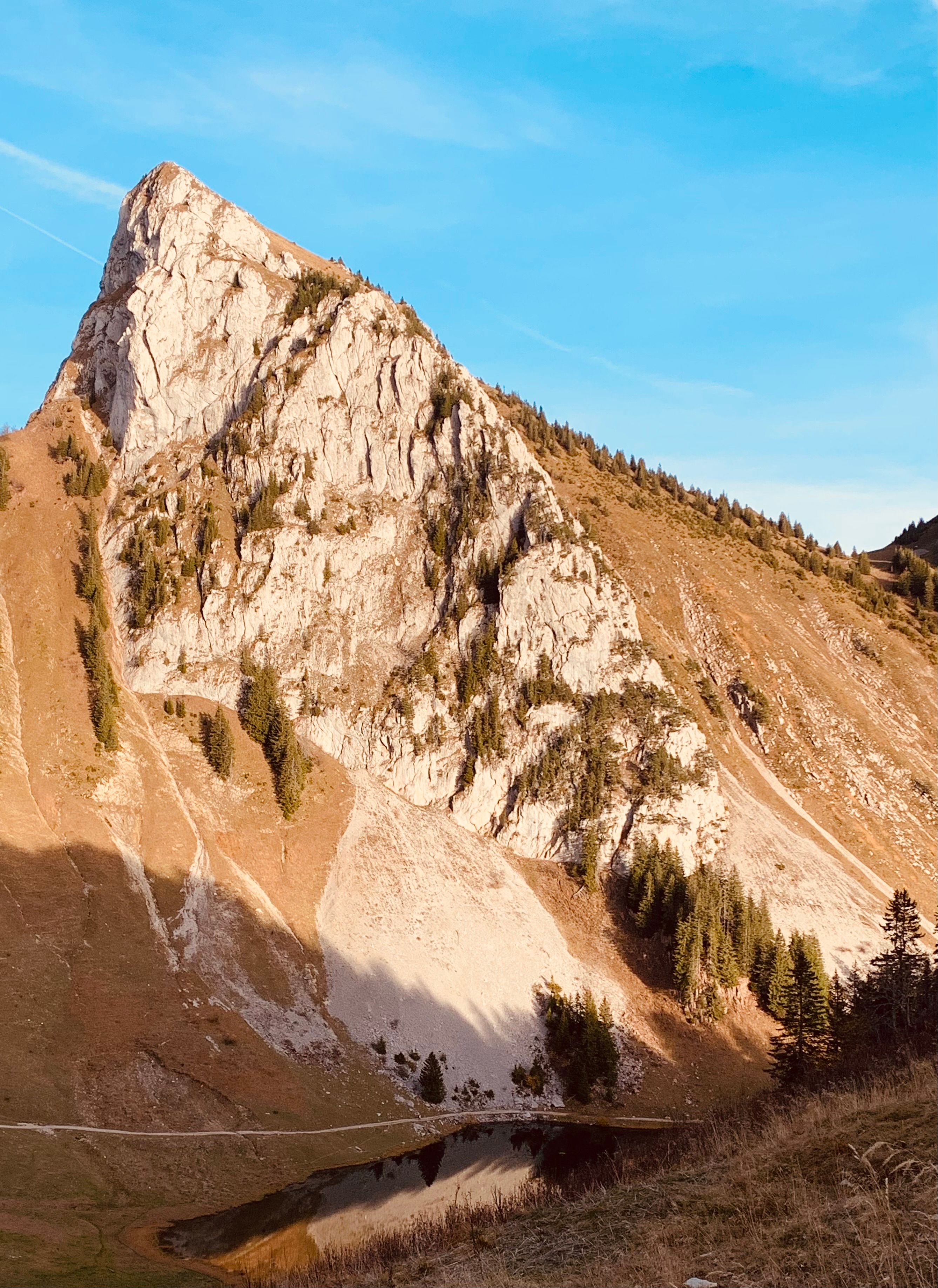 Green Grass Mountain Photo · Free Stock Photo