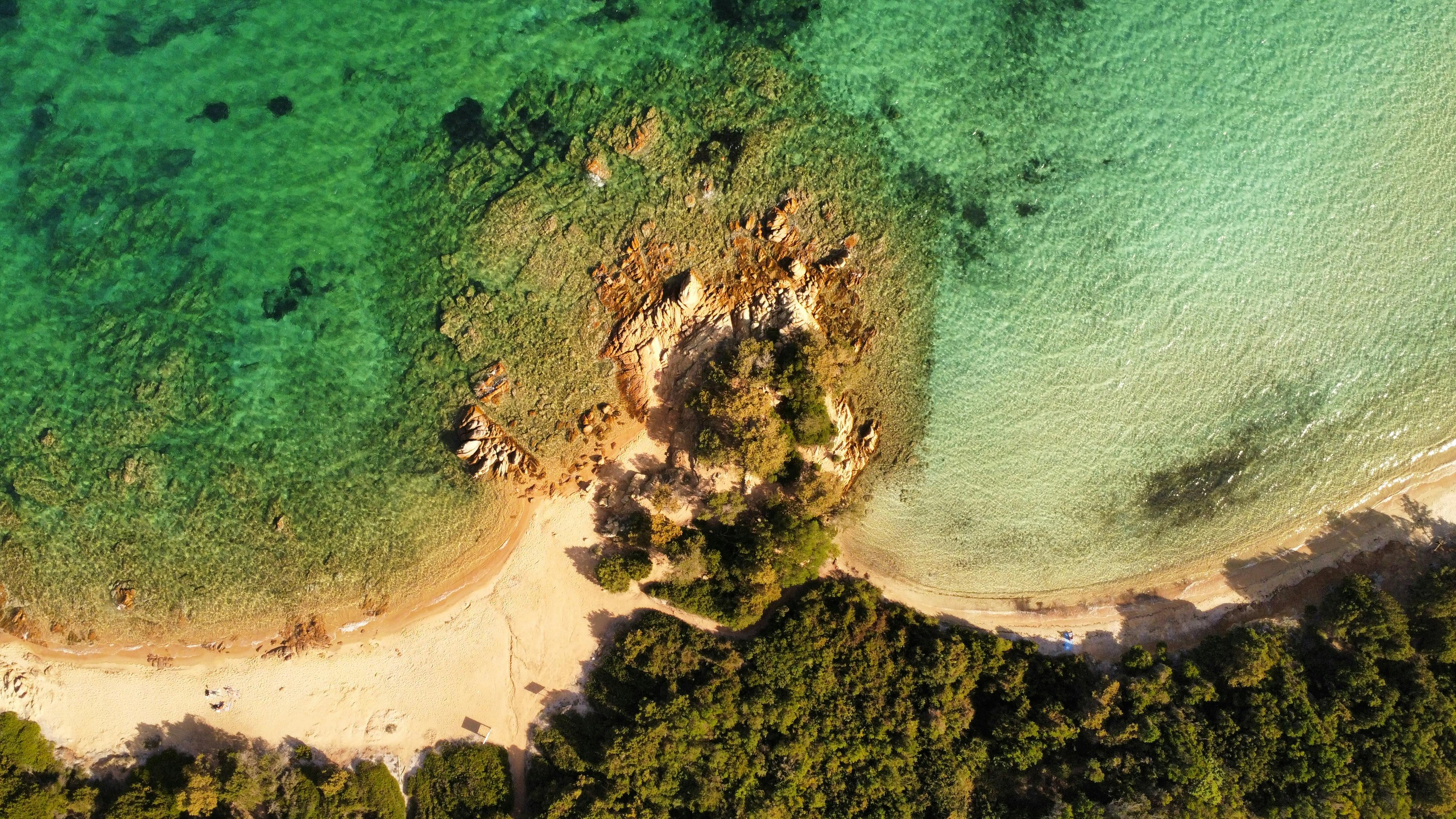 Aerial View of a Beach · Free Stock Photo