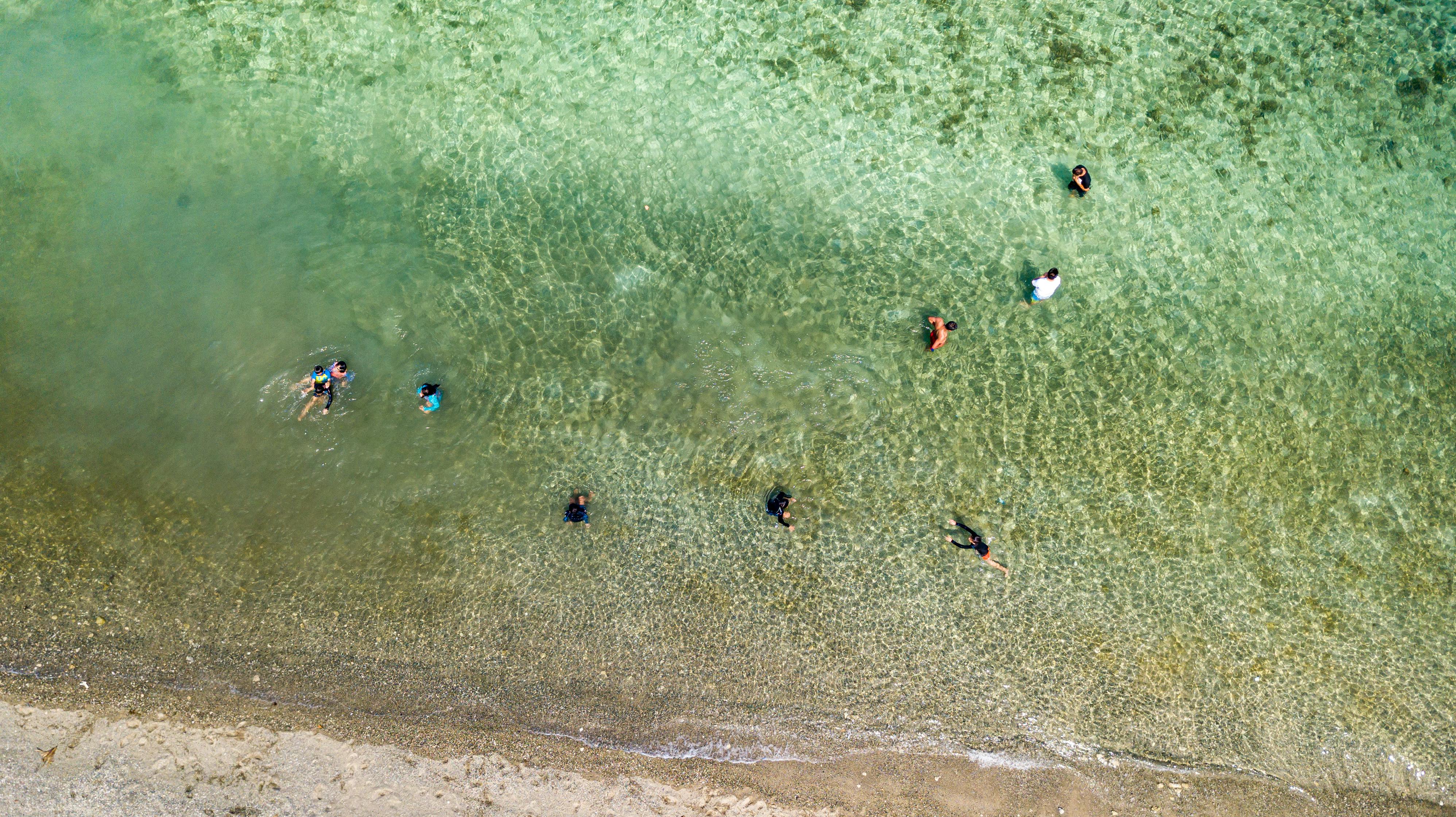 People Swimming in Sea near Shore · Free Stock Photo