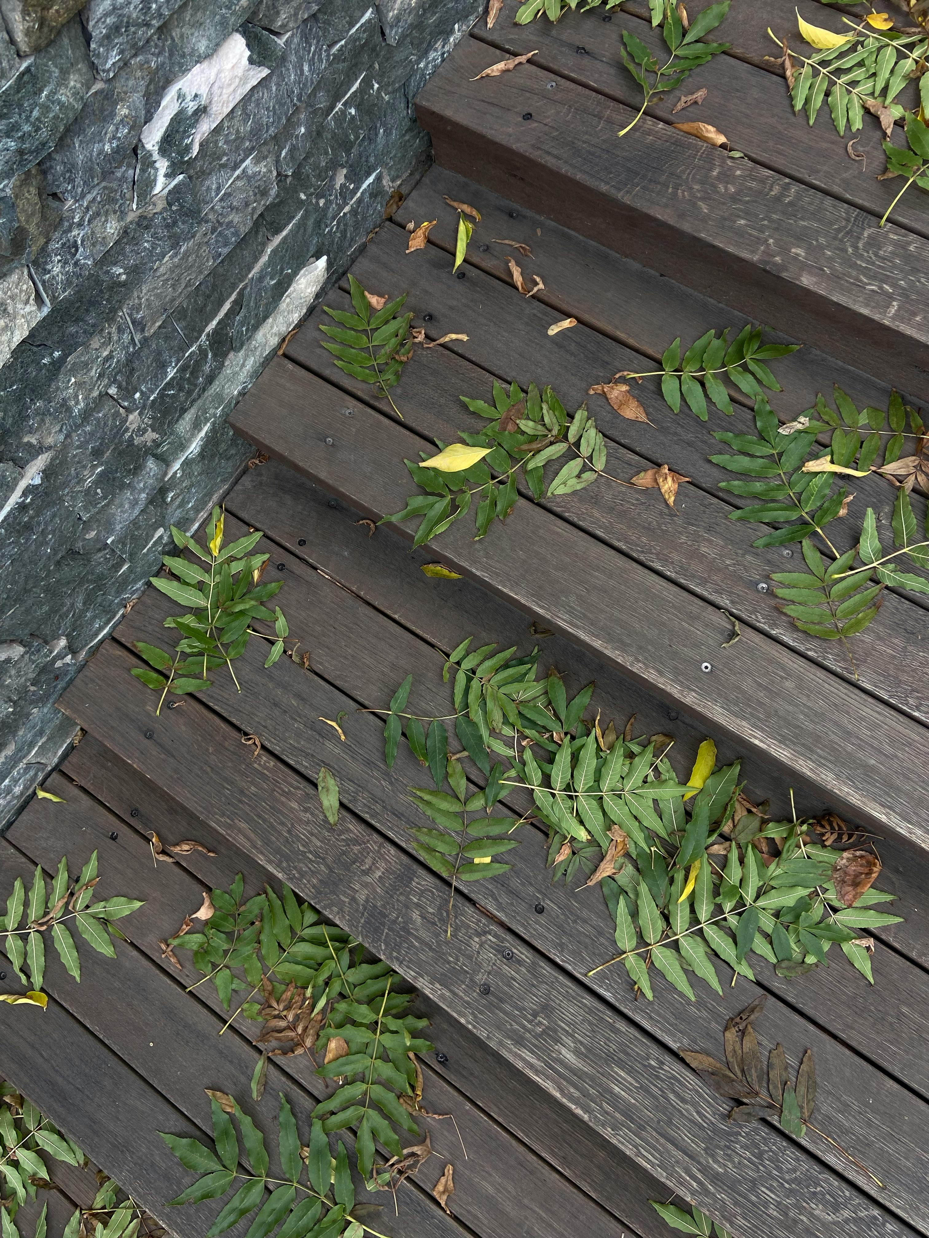 Practical Steps Photos, Download The BEST Free Practical Steps Stock ...