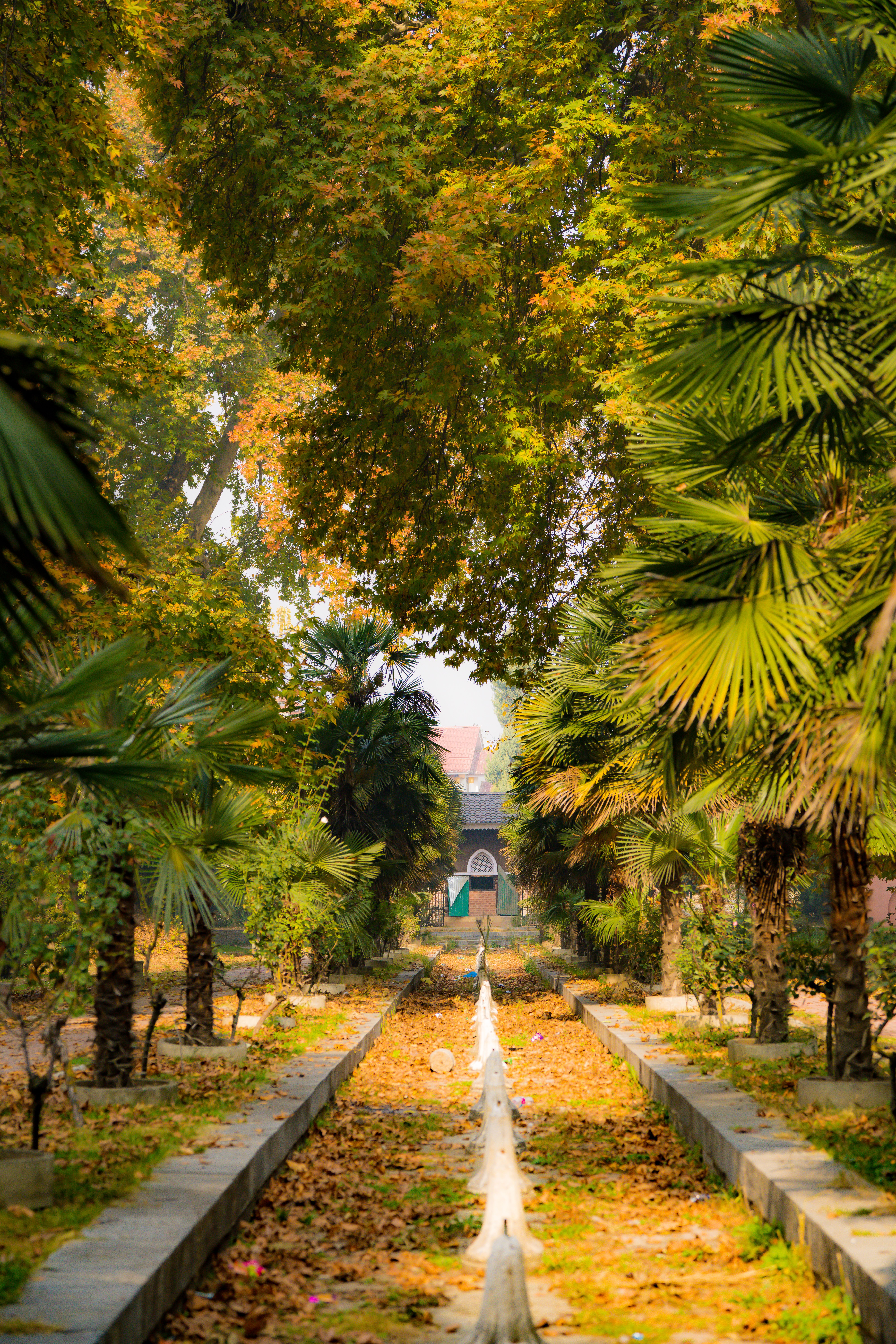 Water Fountain in the Middle of Green Trees · Free Stock Photo