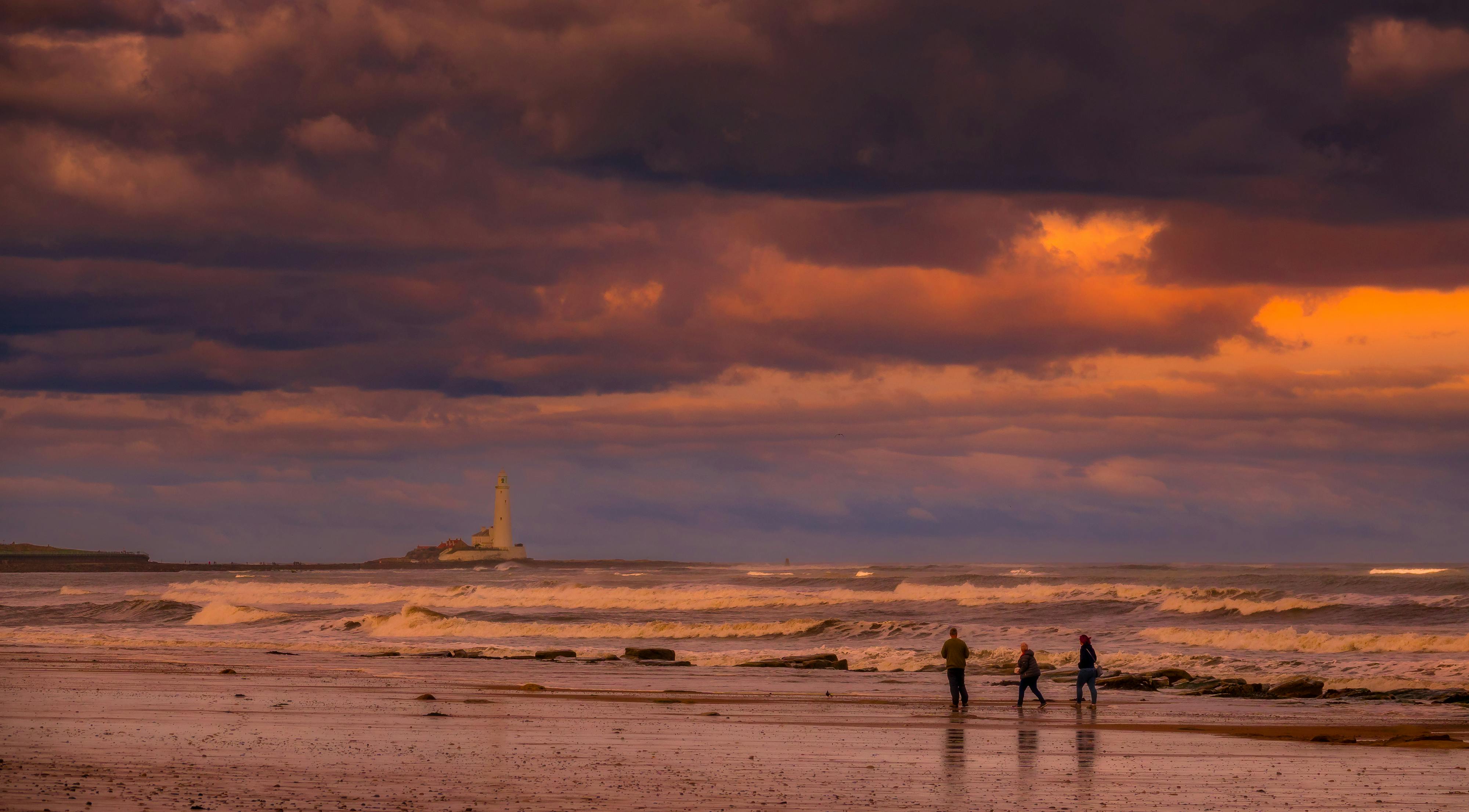 People at Seashore · Free Stock Photo