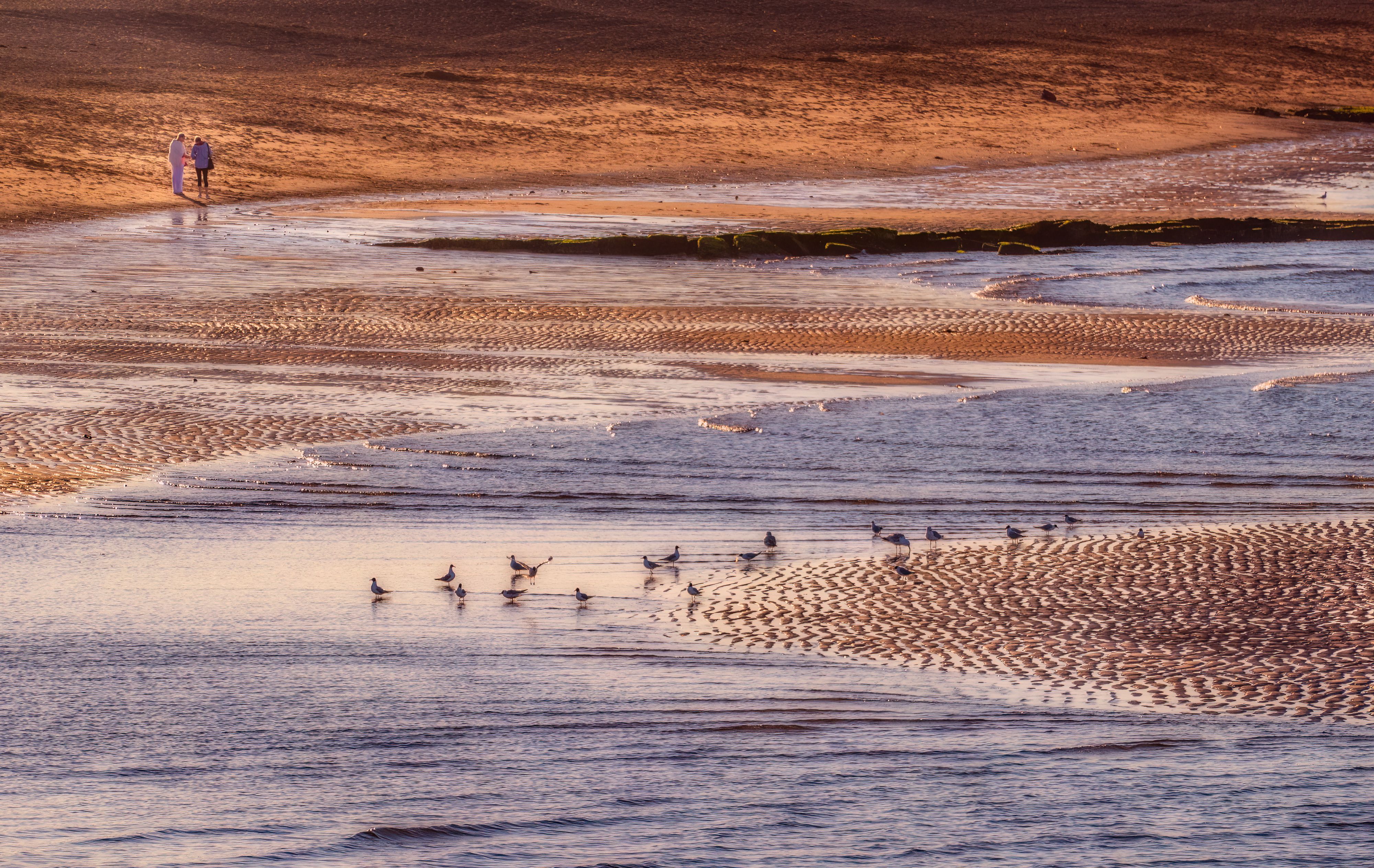 Scenic Photo of a Seashore · Free Stock Photo