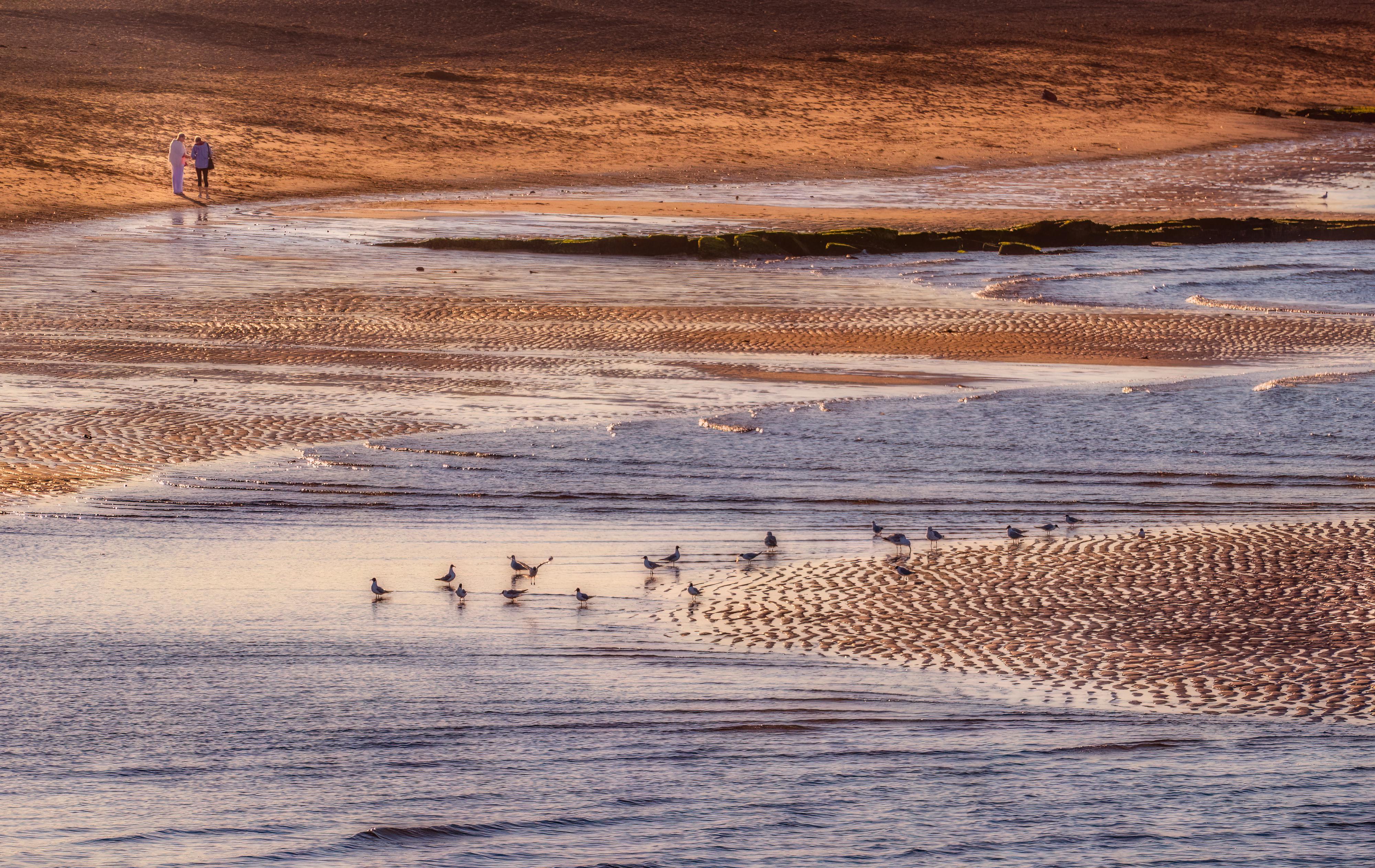 720p Wallpaper Landscape Photos, Download The BEST Free 720p Wallpaper ...