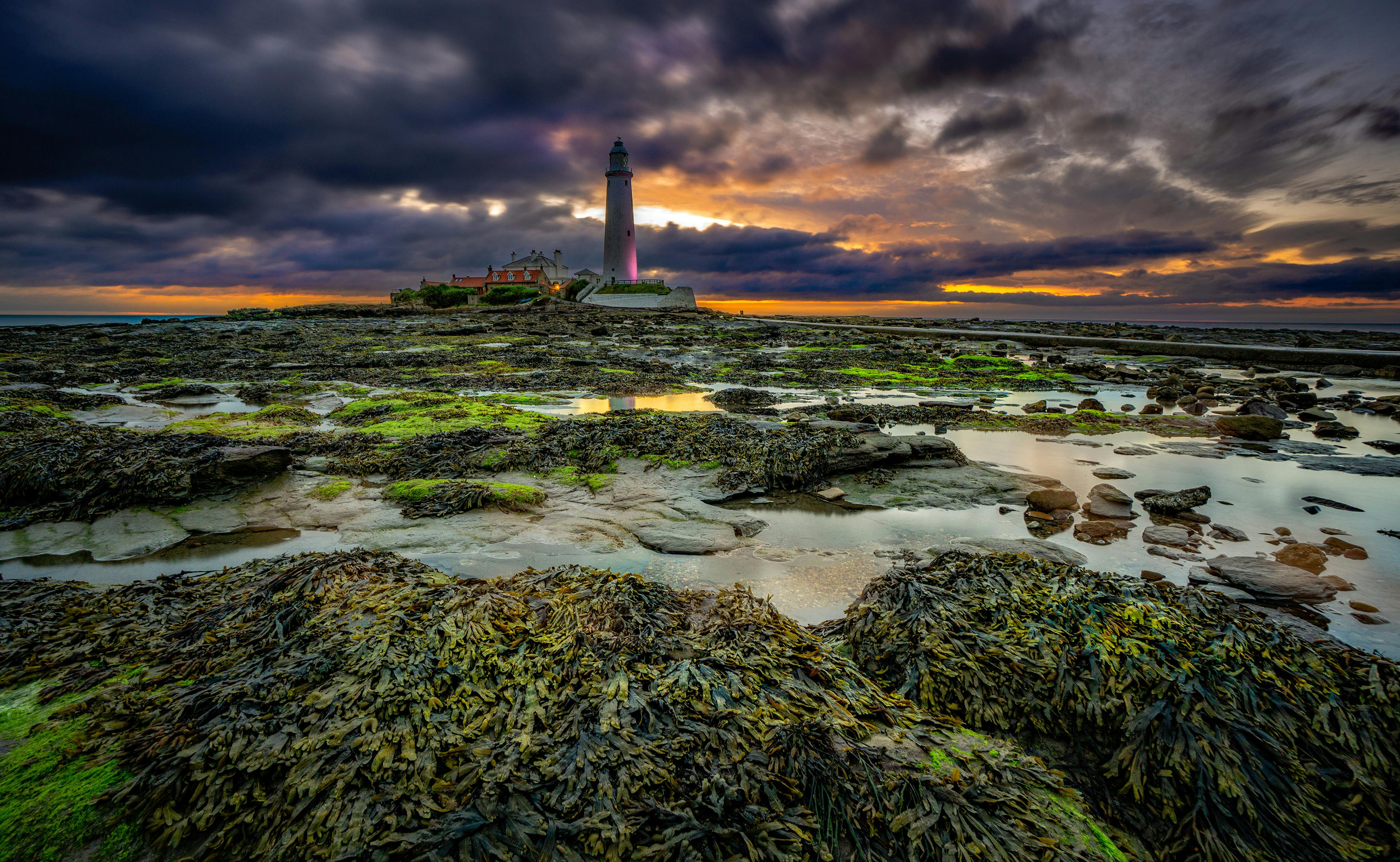 Lighthouse seen from Marsh at Sunset · Free Stock Photo
