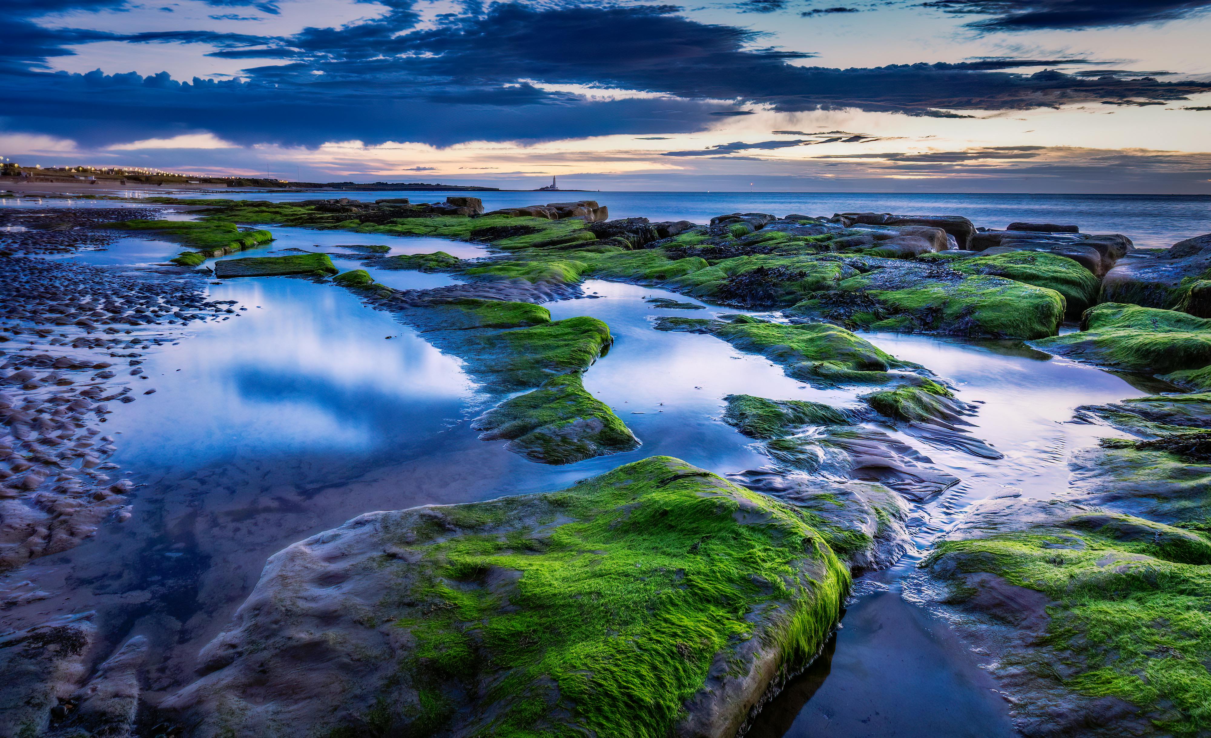 Green Moss on Rock Formation on Body of Water · Free Stock Photo