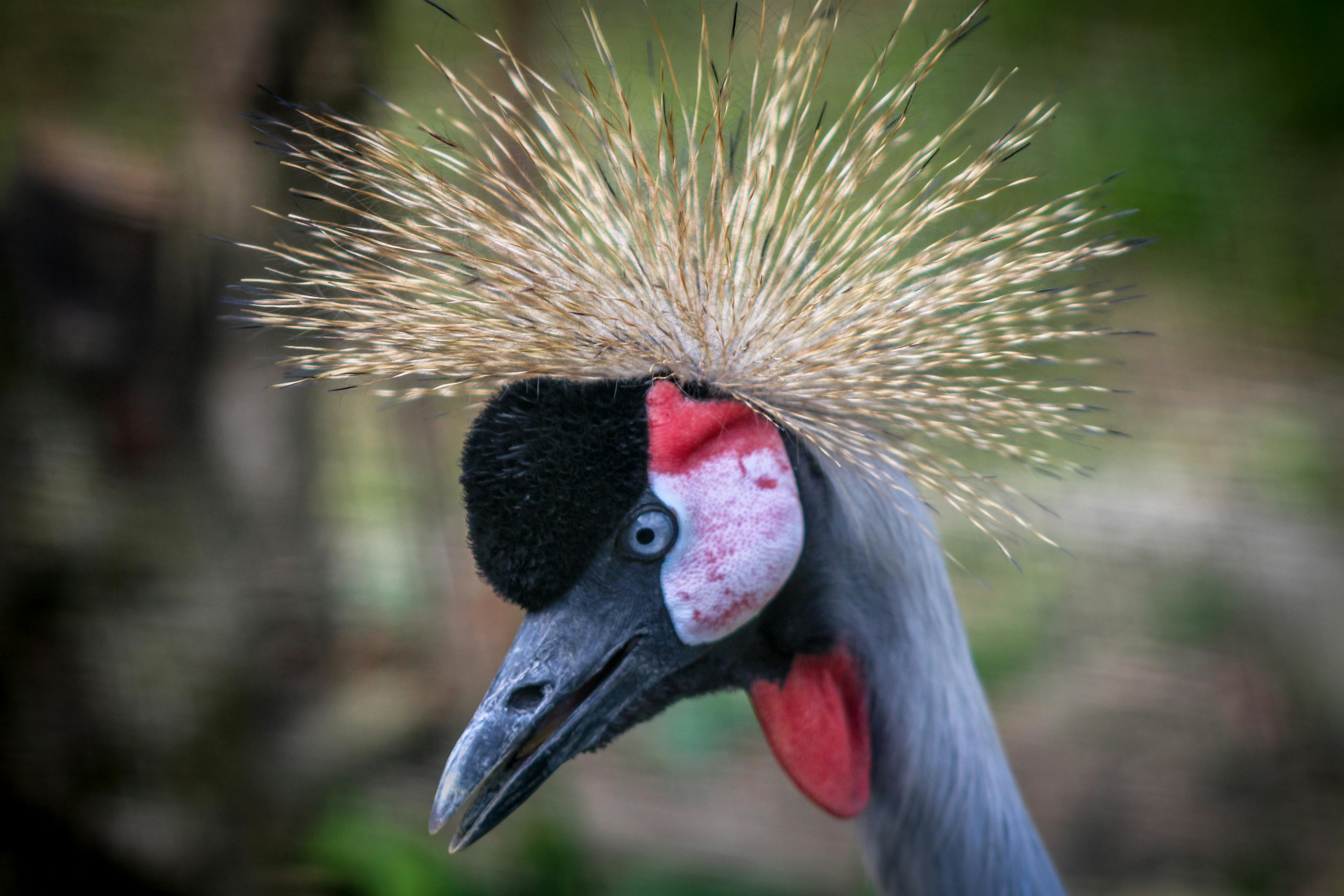 Sadid Morshed - Photography