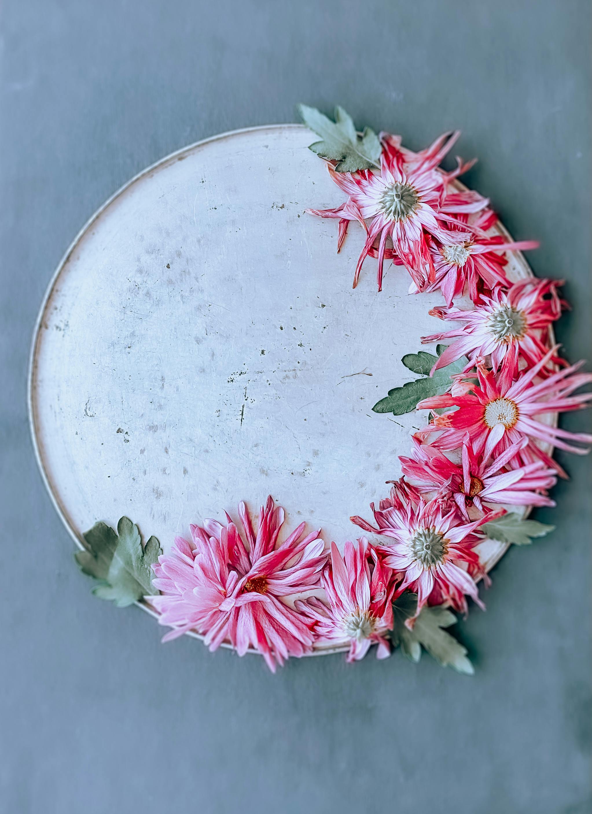 Close-Up Shot of Pink Flowers on a Plate · Free Stock Photo