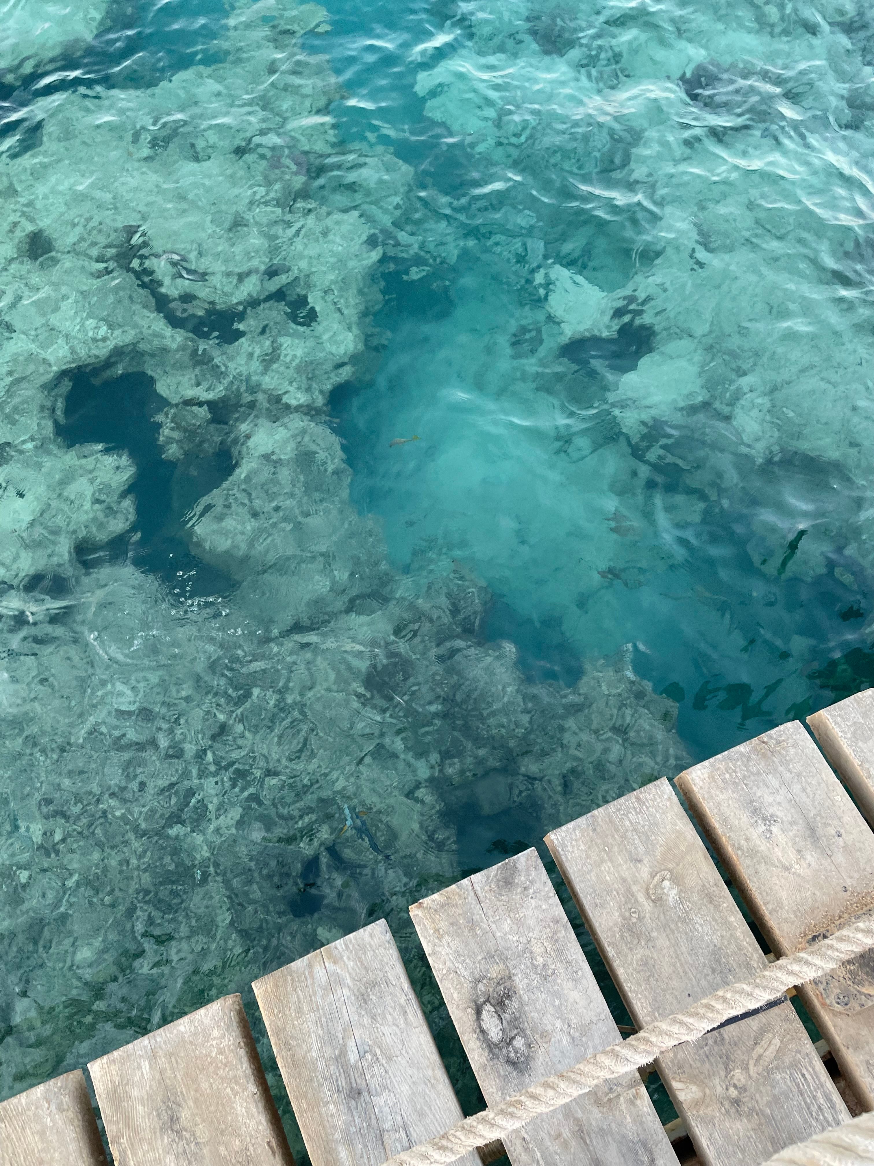 Aerial View of Body of Water · Free Stock Photo