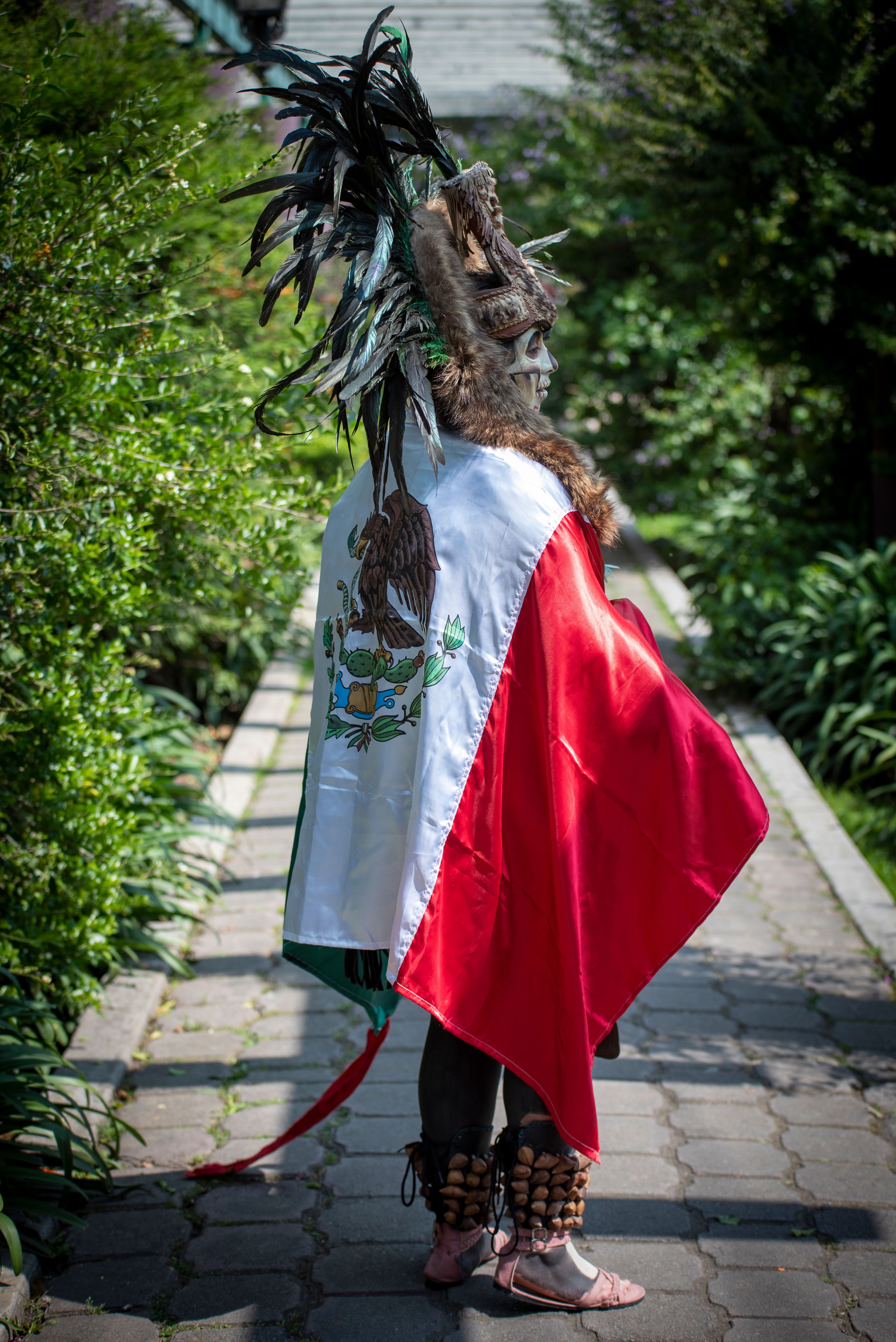 A Person Draped with a Flag · Free Stock Photo