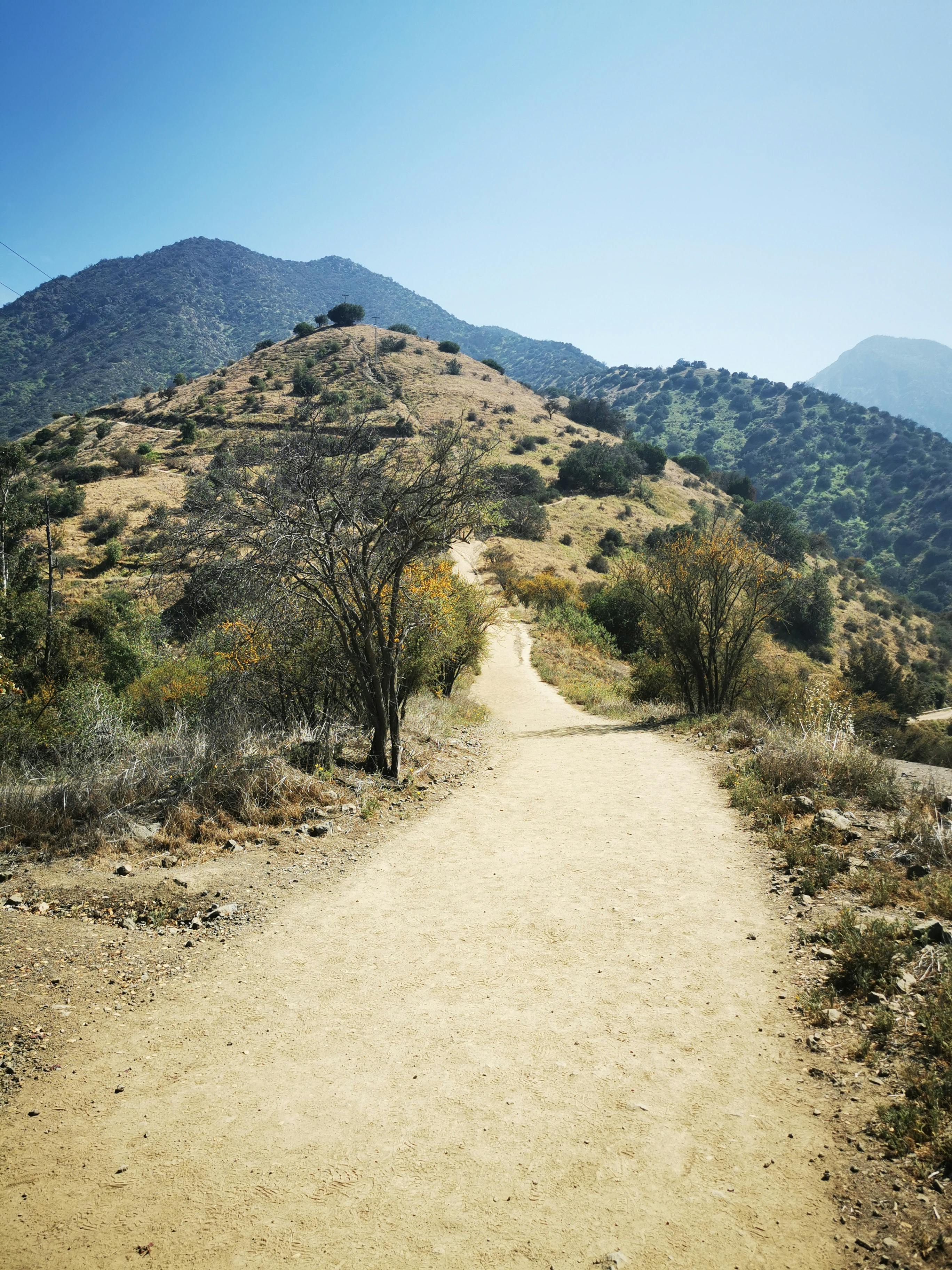 A Pathway on the Hill · Free Stock Photo