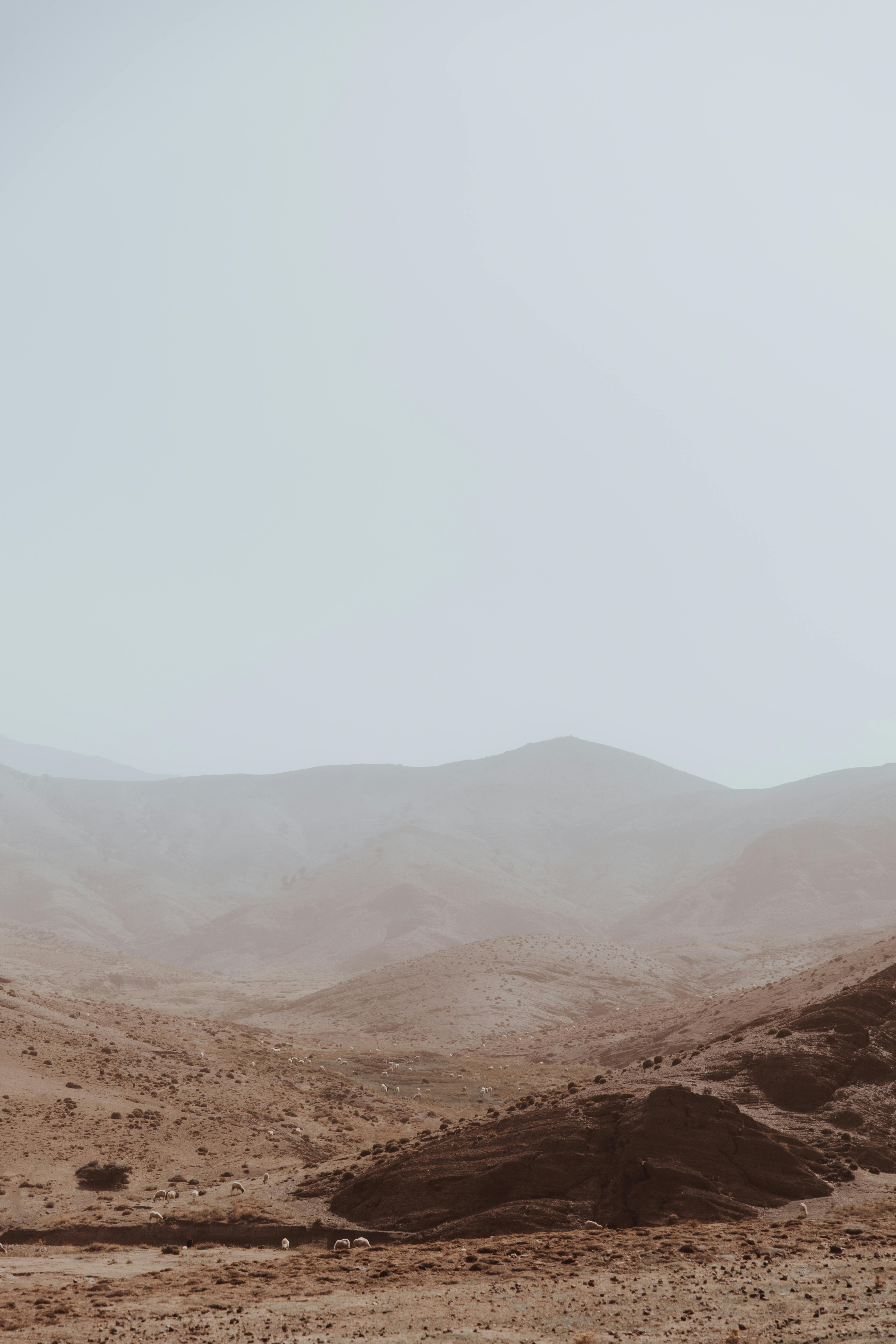 Landscape of a Dusty Desert · Free Stock Photo
