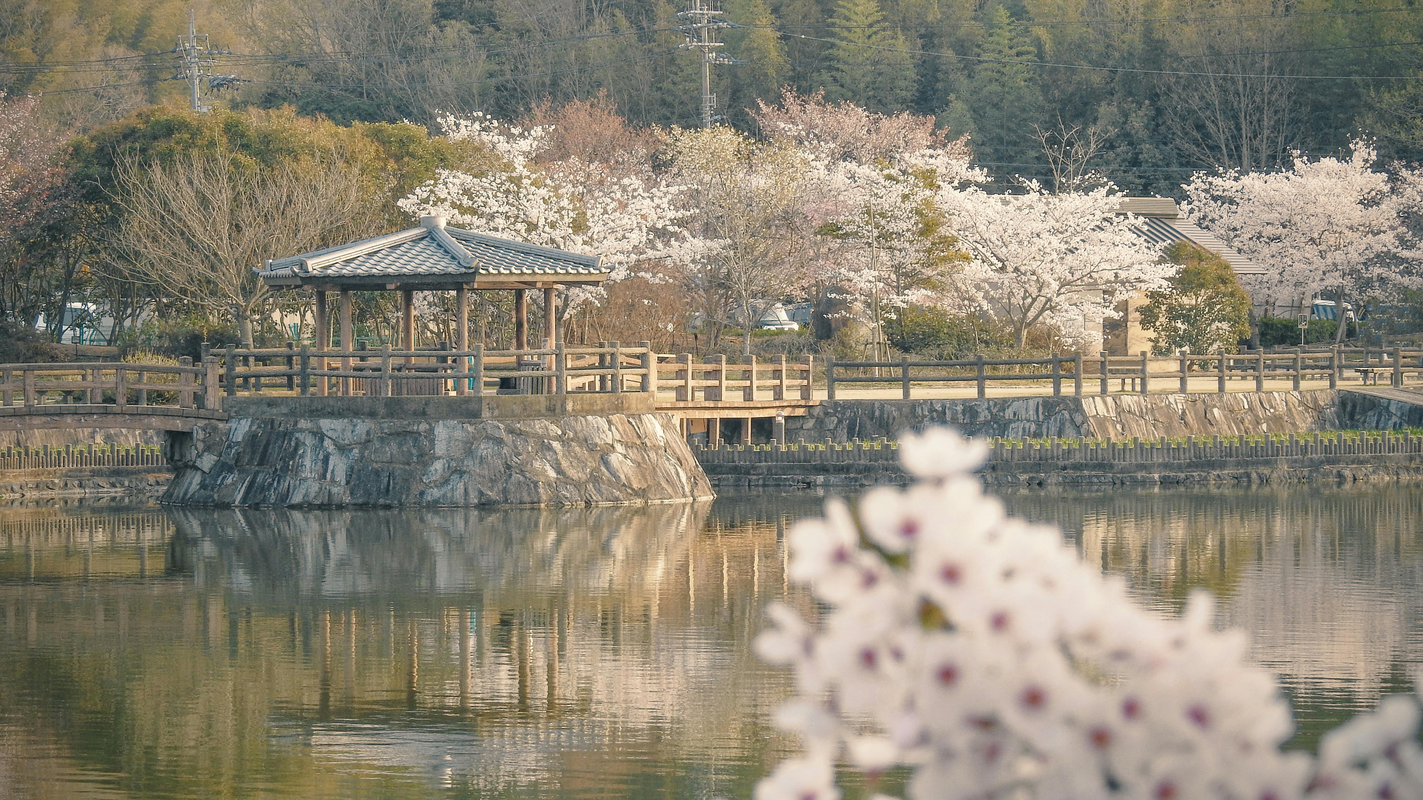 Free stock photo of blue, japan, mountain
