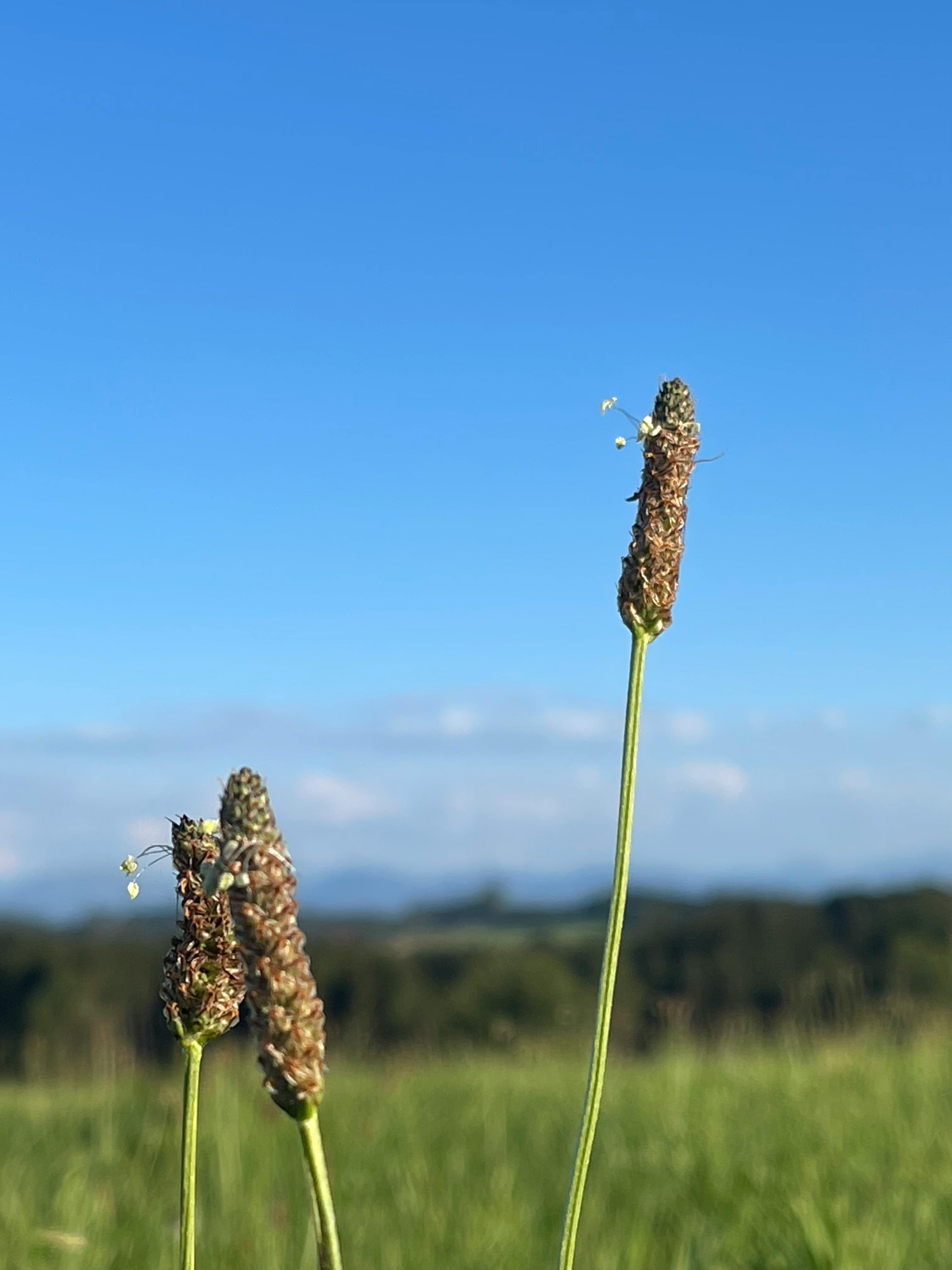 Tatiana Bader - 사진
