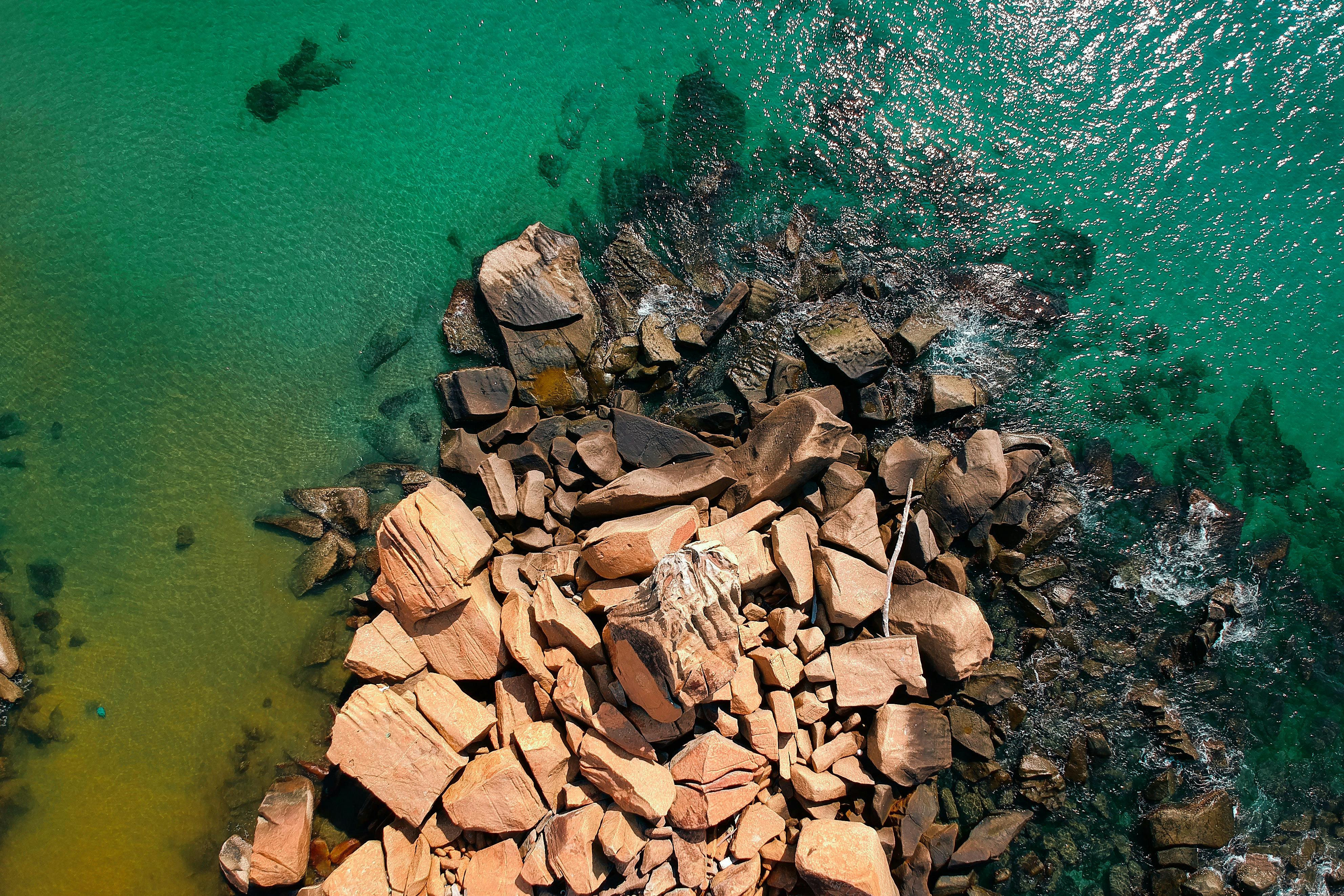 Aerial View Photography of Umbrellas on Shore · Free Stock Photo