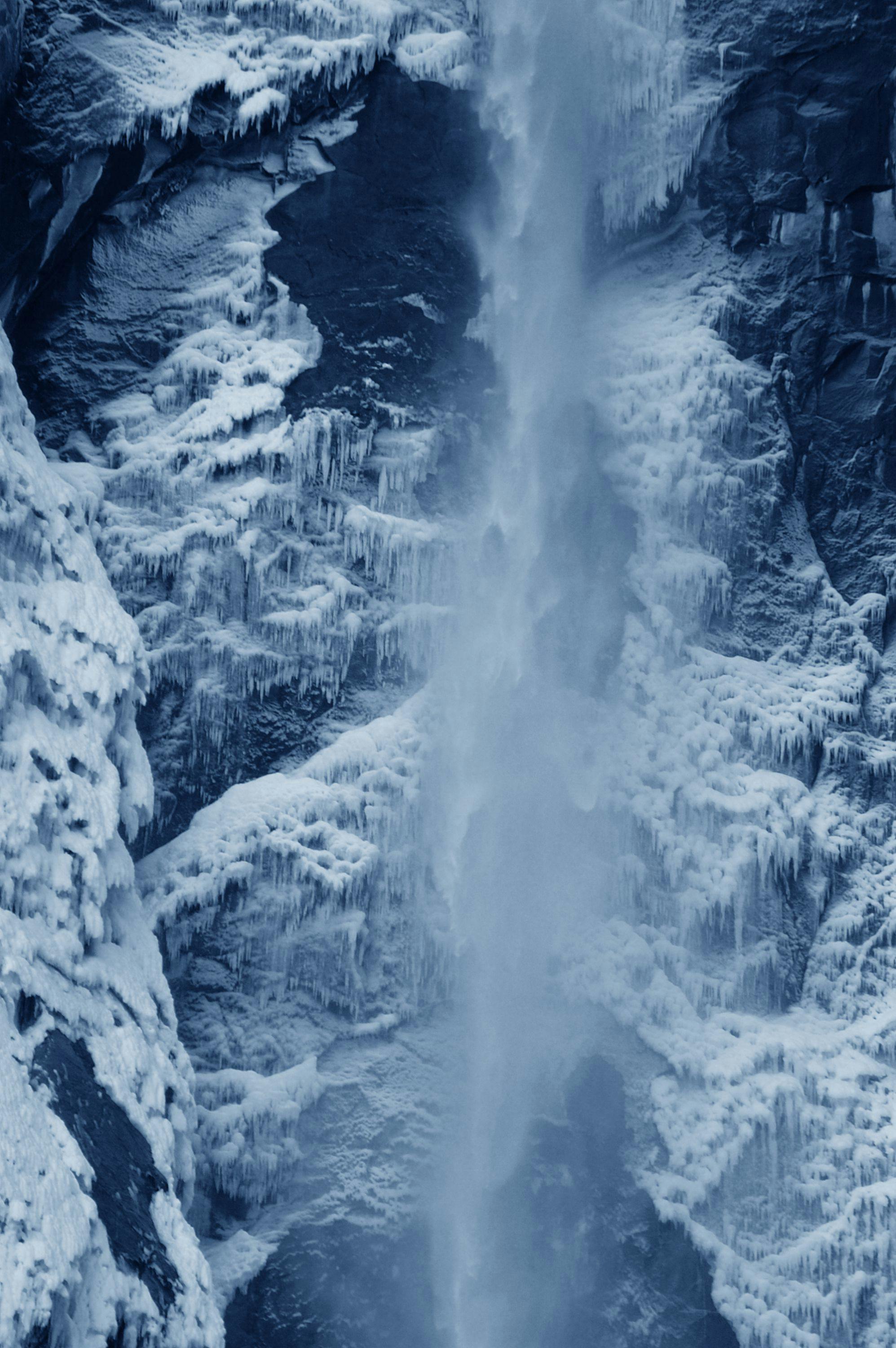 Water Flowing Through Snow Covered Forest · Free Stock Photo