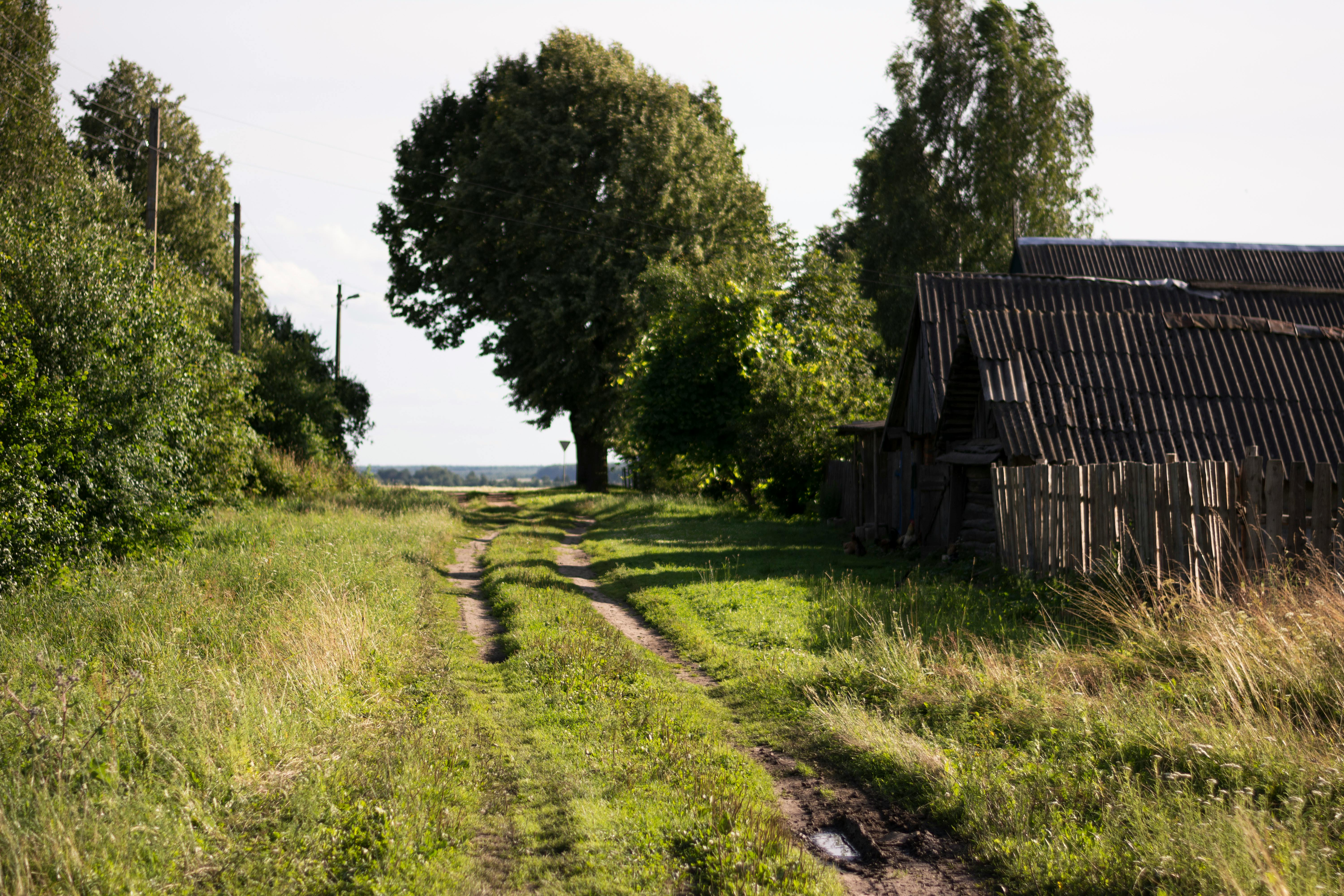 Country Road in a Village · Free Stock Photo