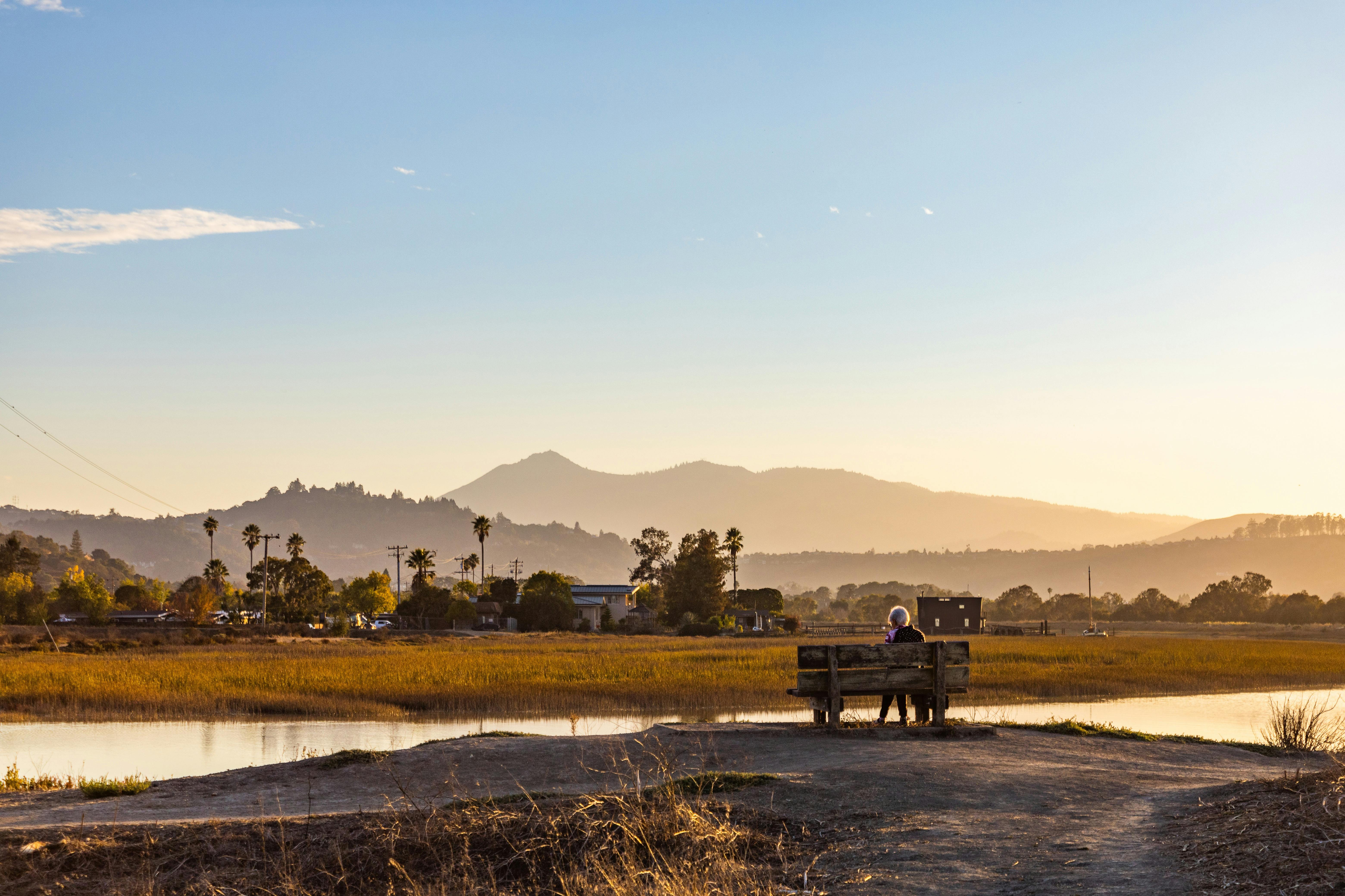 Person Sitting on Bench by River · Free Stock Photo