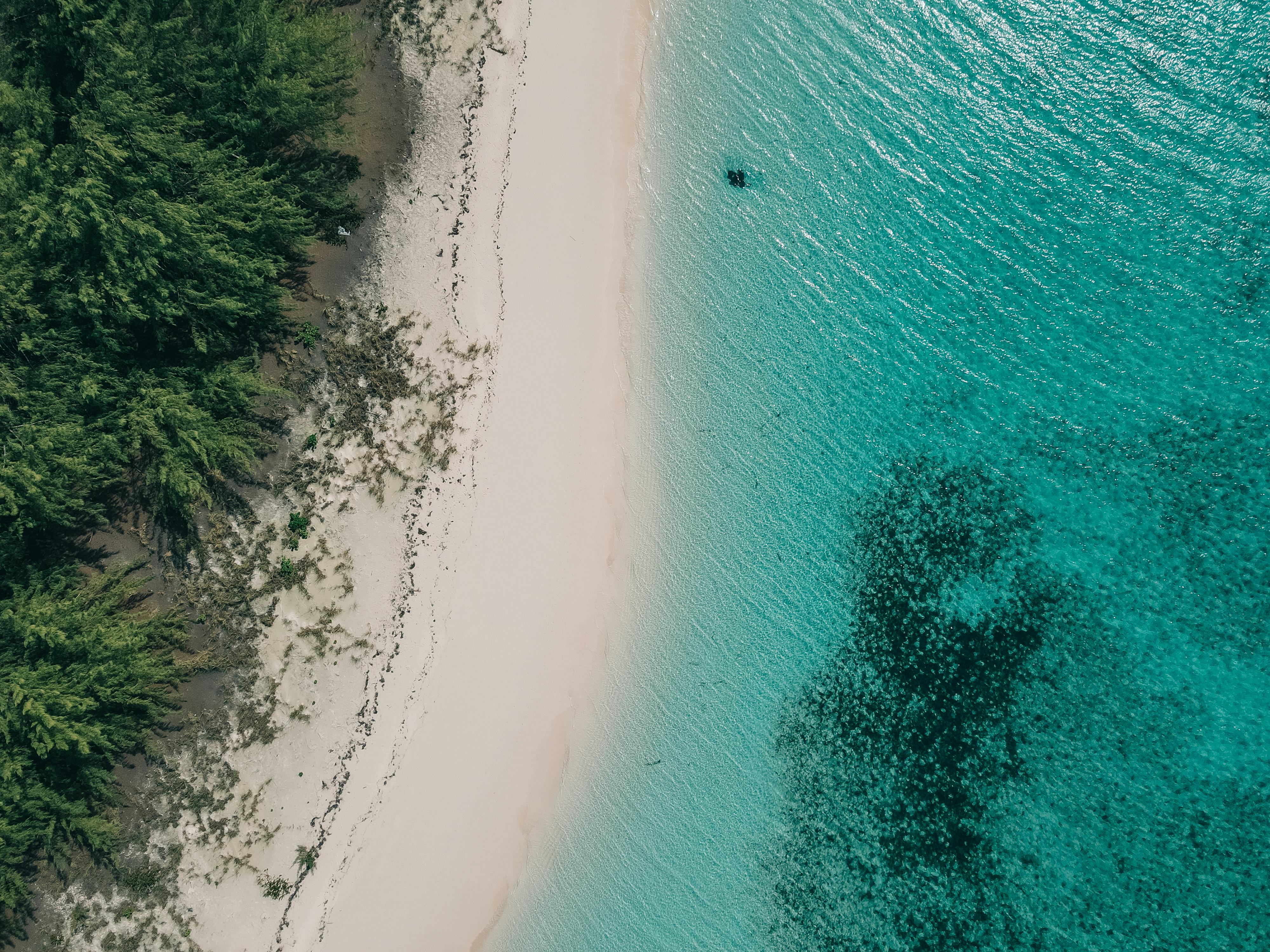 Aerial Photography of a Beach · Free Stock Photo