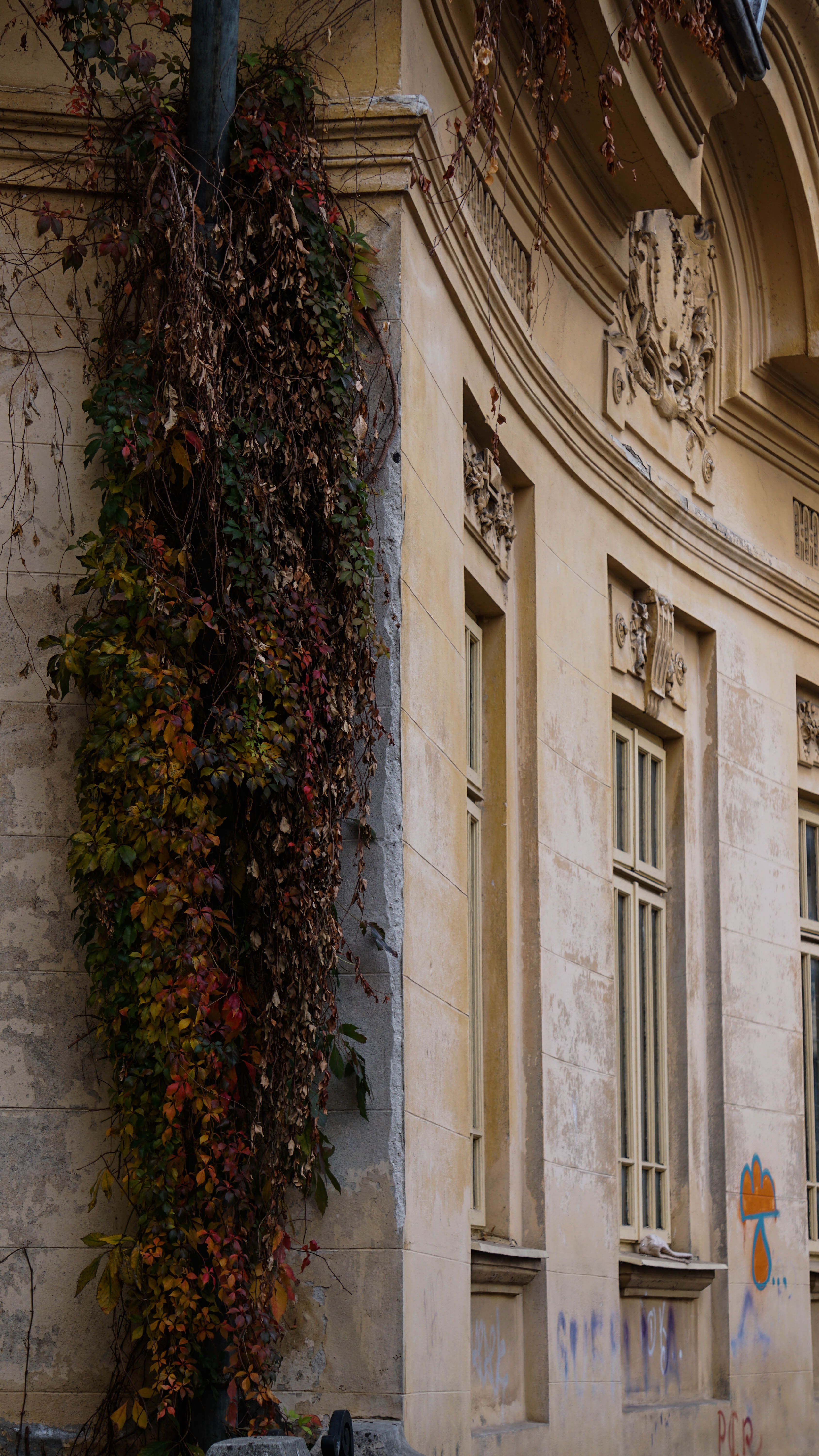 A Concrete Building with Hanging Plants · Free Stock Photo