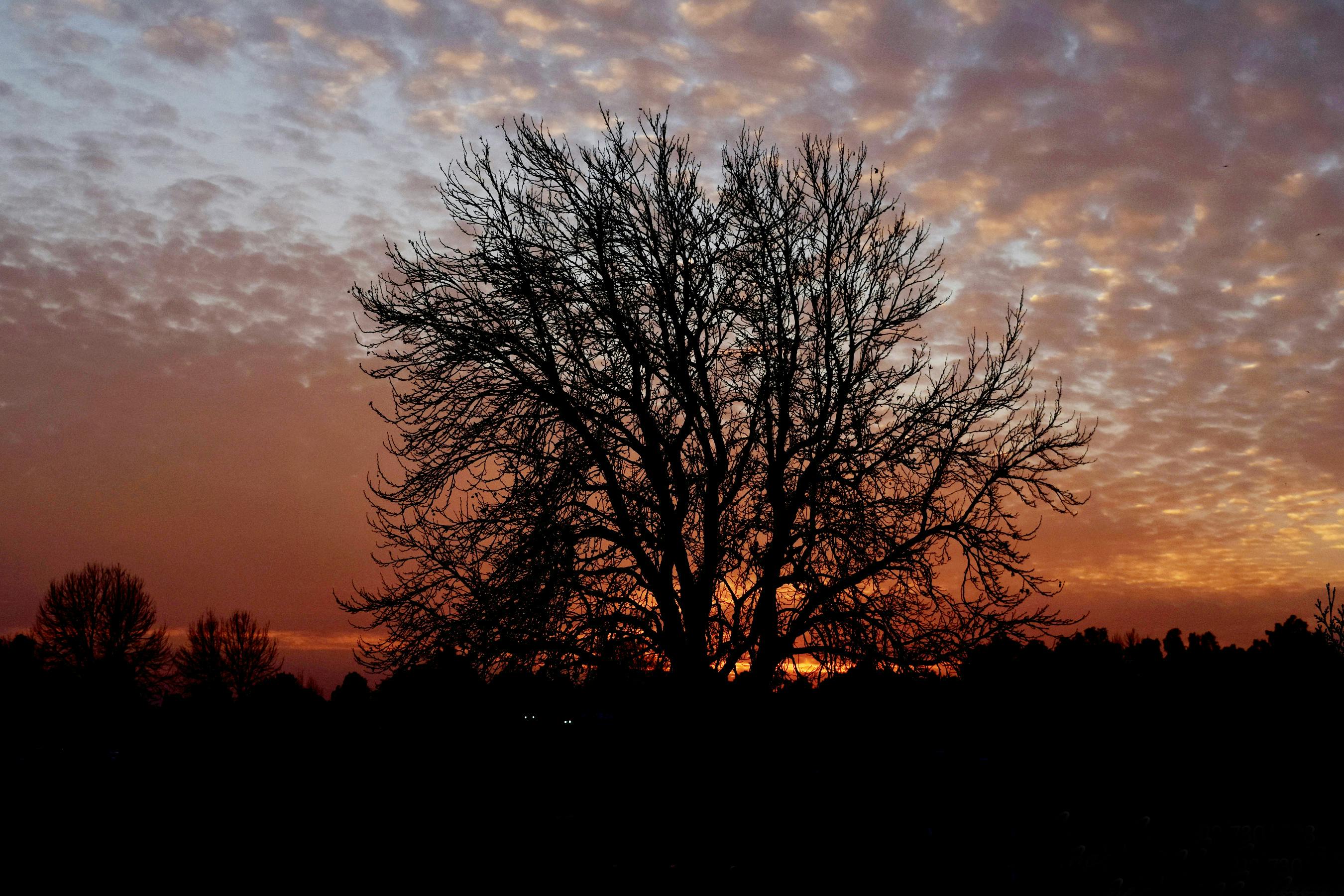 Sameer Bhatti — Фотография