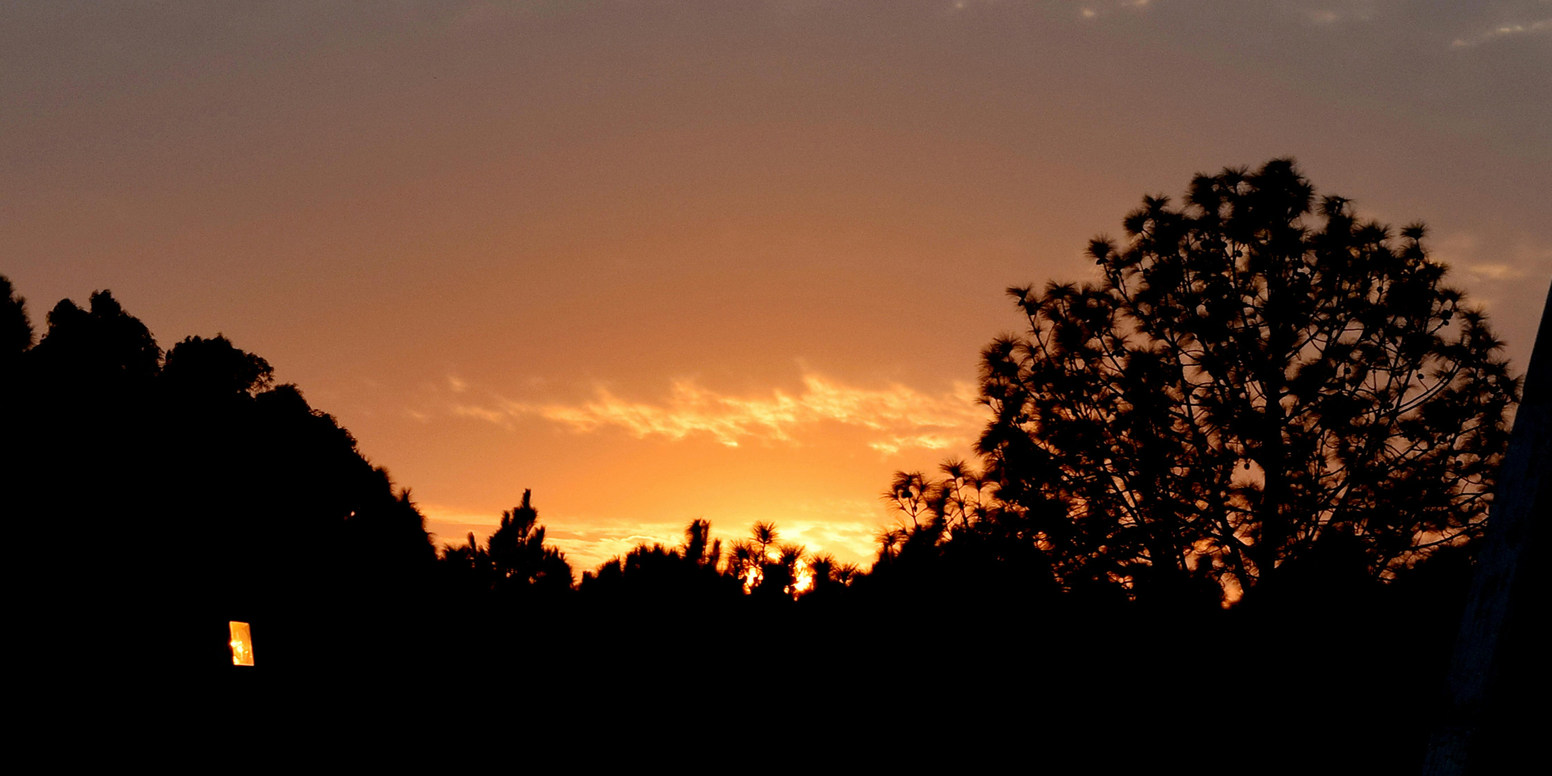 Sameer Bhatti — Фотография